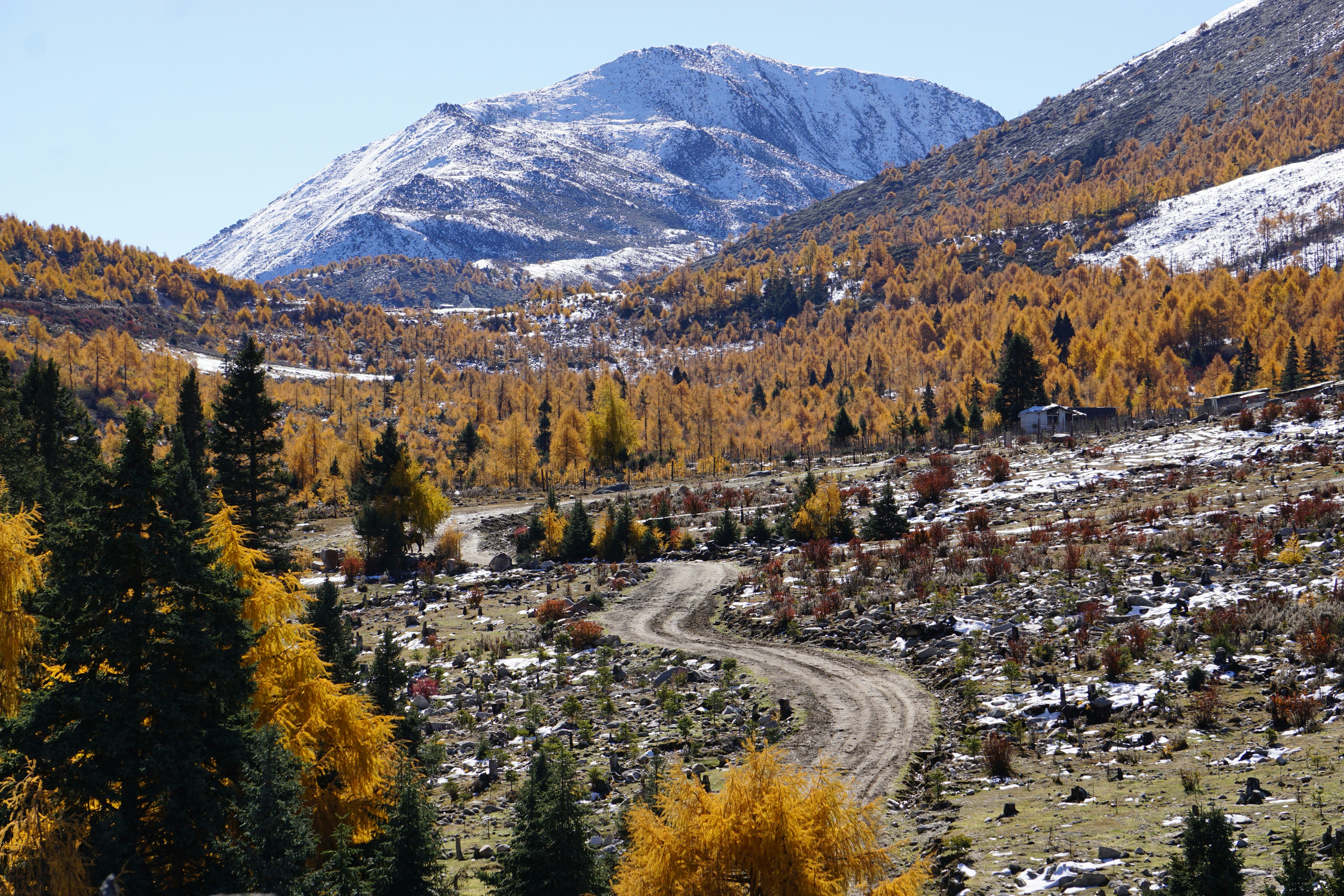 Autumn Ribbon: Winding Path Toward Snow-Capped Peaks