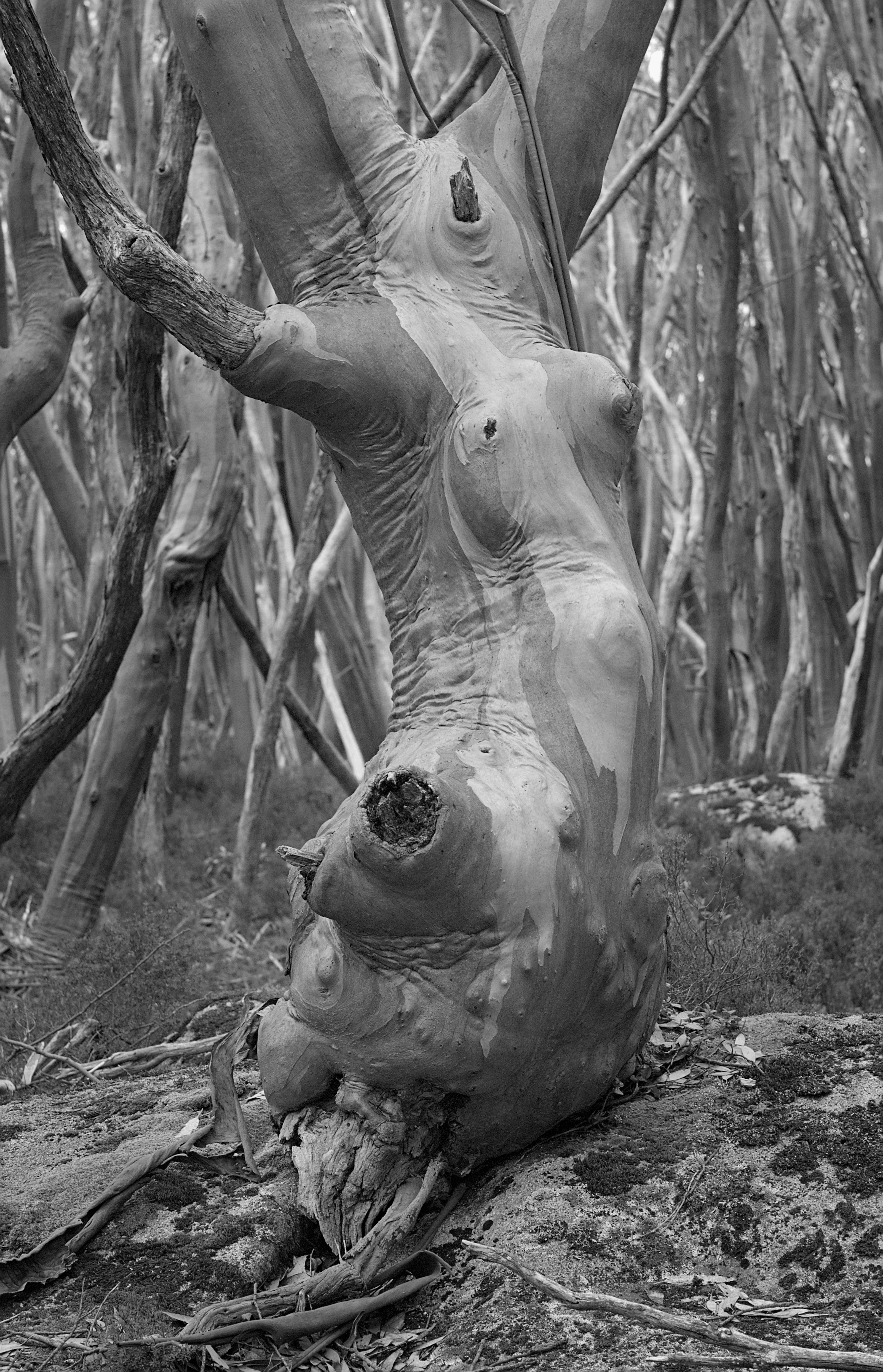 Photo by Matt Johnson with Nikon D200