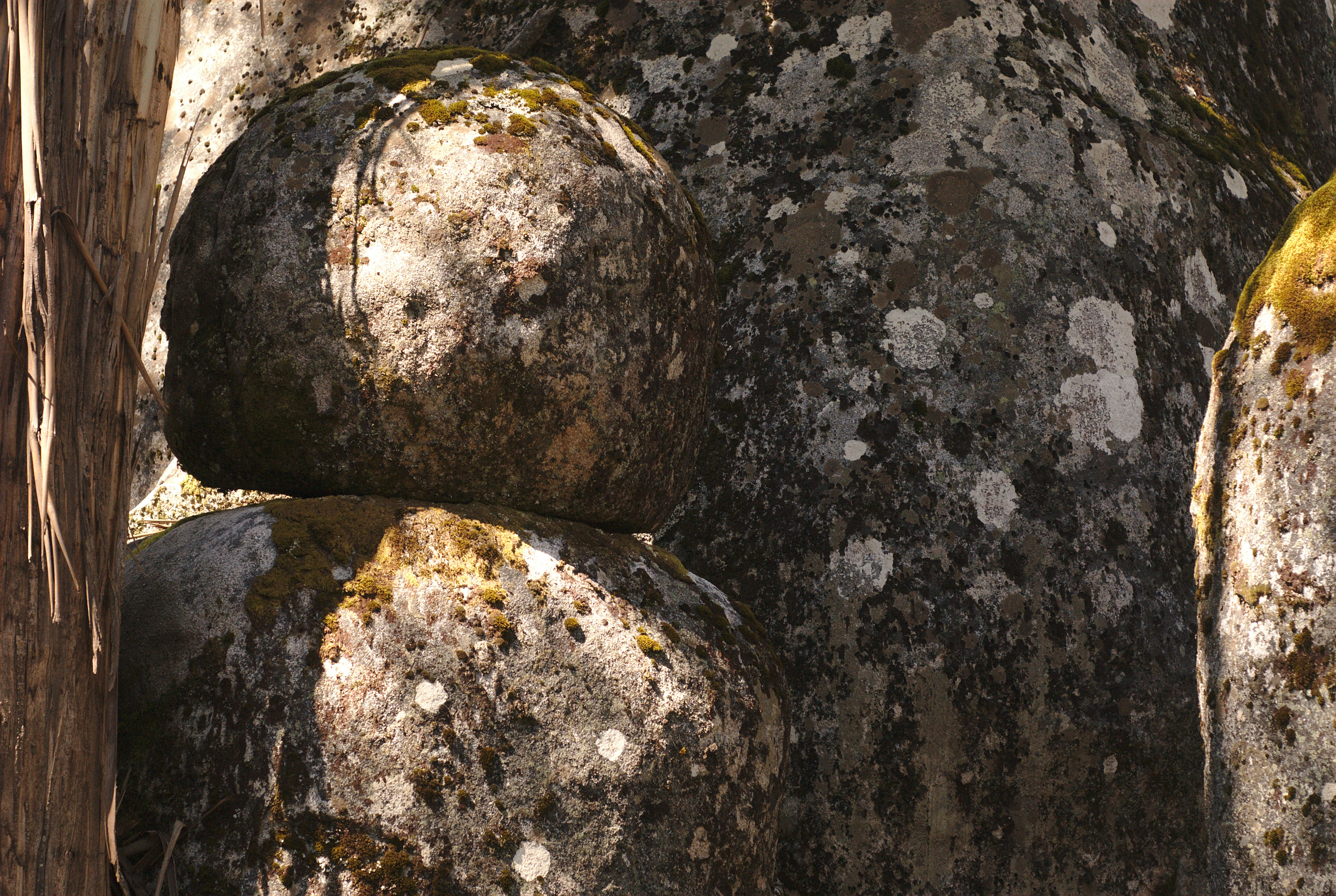 Moss-dusted Orbs: A Quiet Stack of Granite