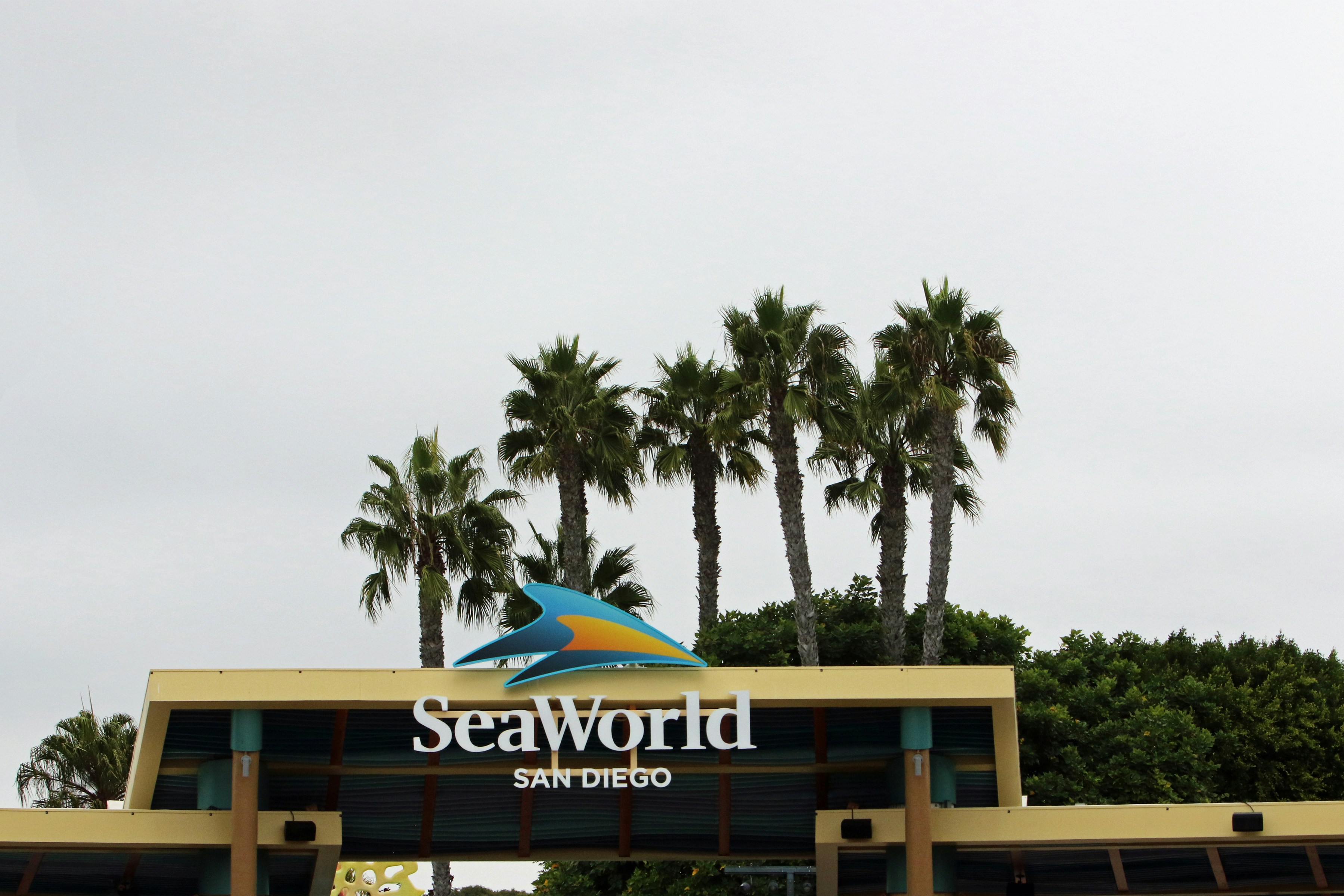 Seaworld san diego entrance with palm trees photo – Free California ...