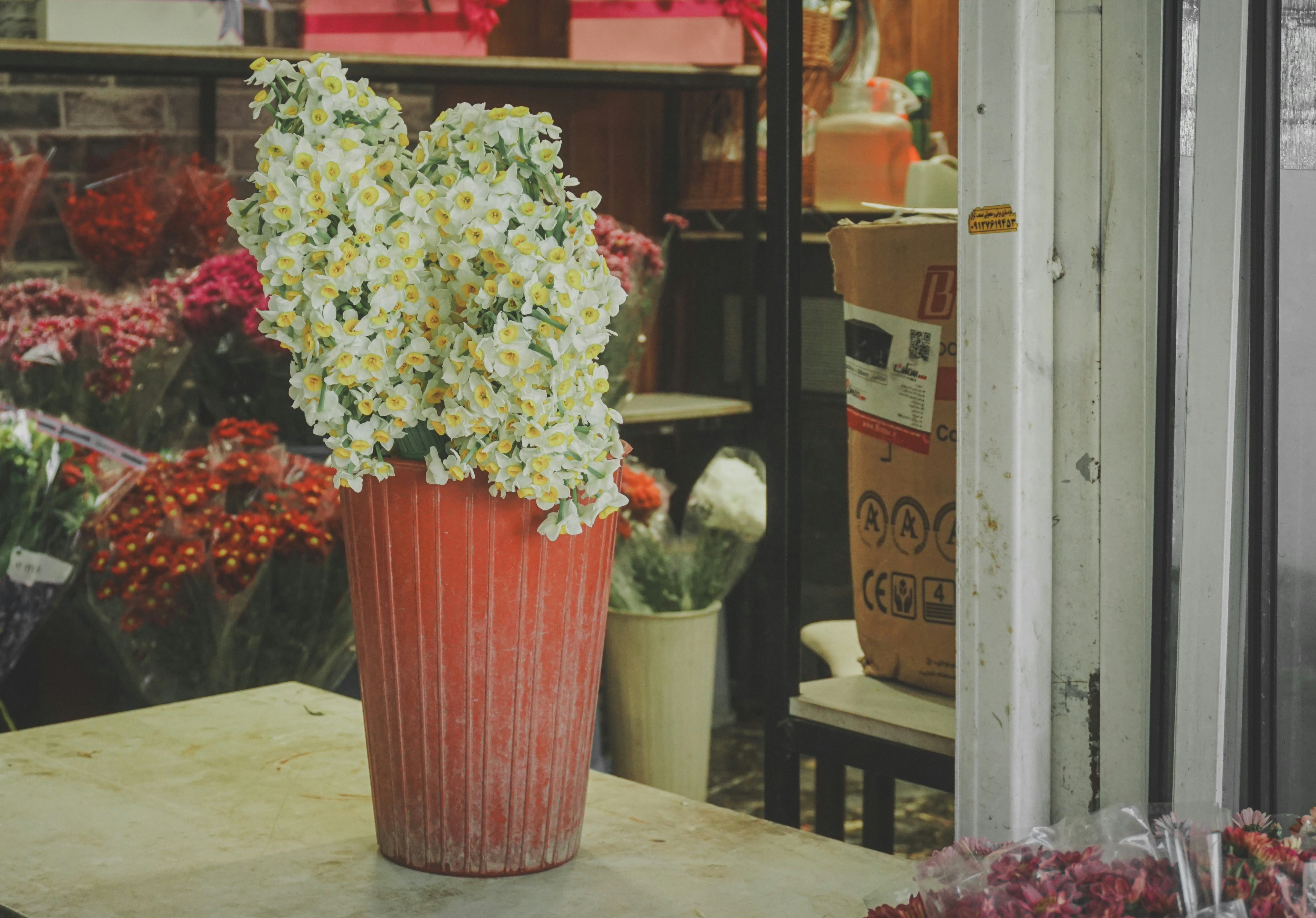 A bucketful of spring.