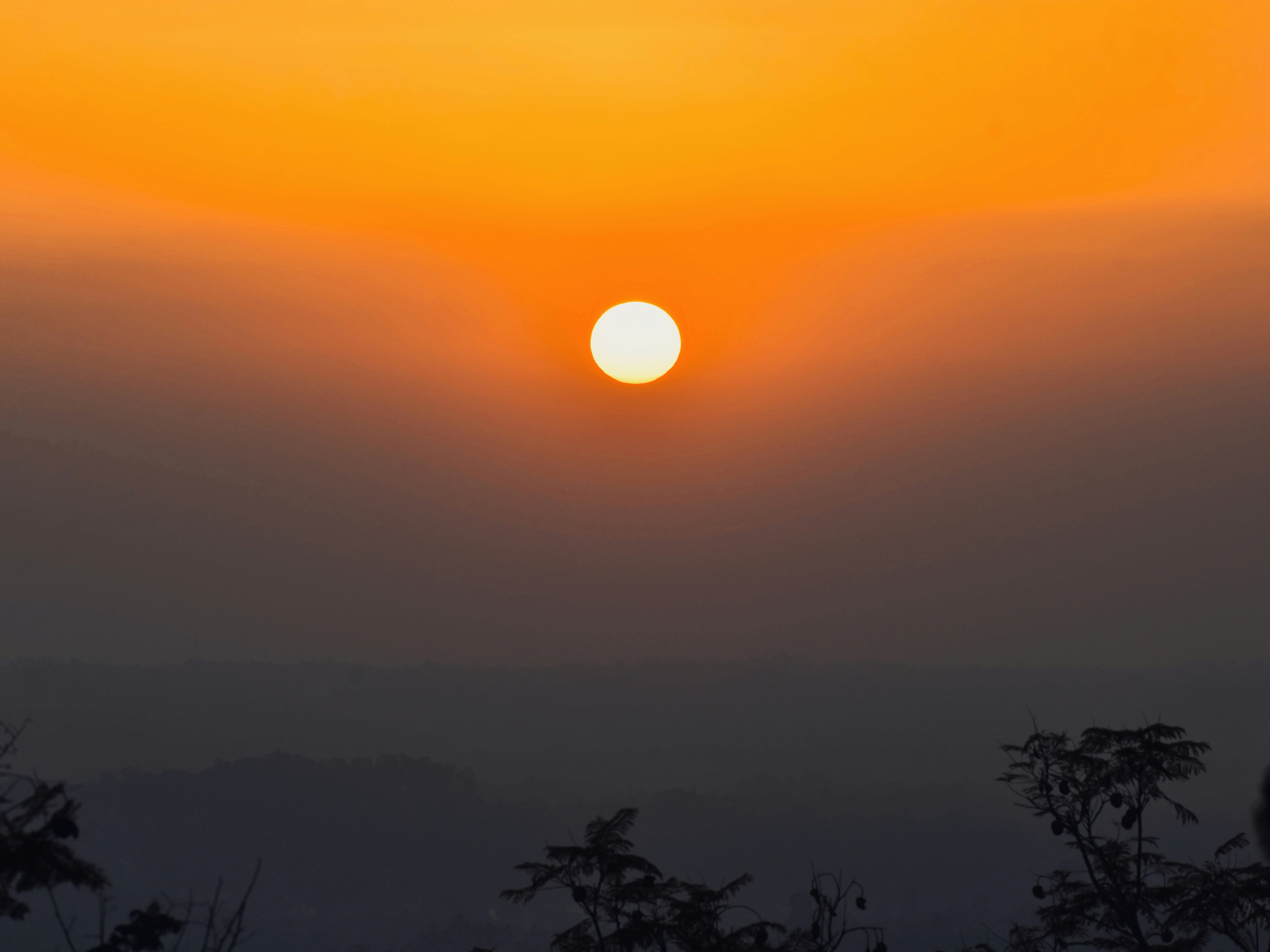 Setting sun and beautiful evening sky.