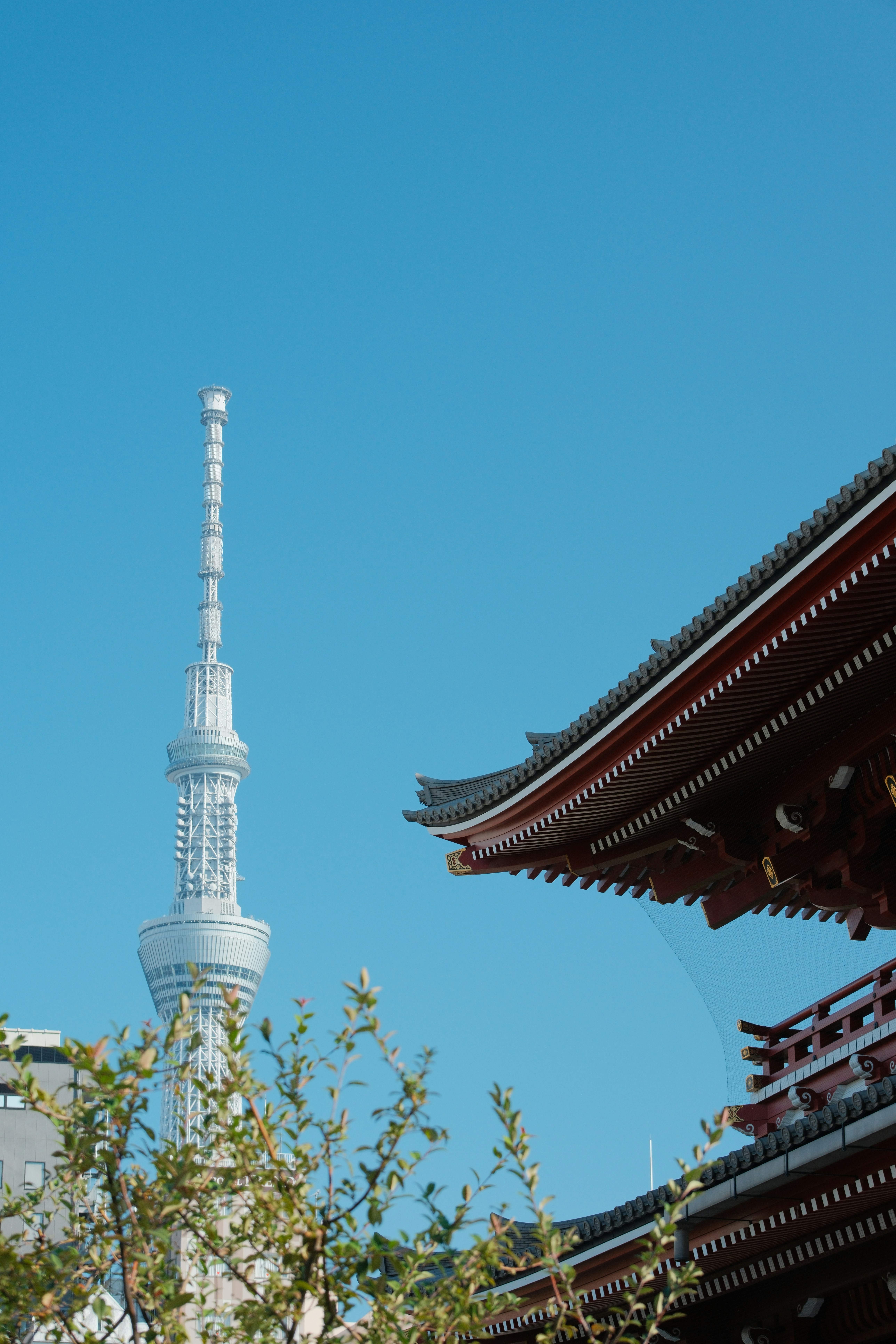 Skyline Juxtaposition: Tokyo Skytree Rising Over a Timeless Temple Roof
