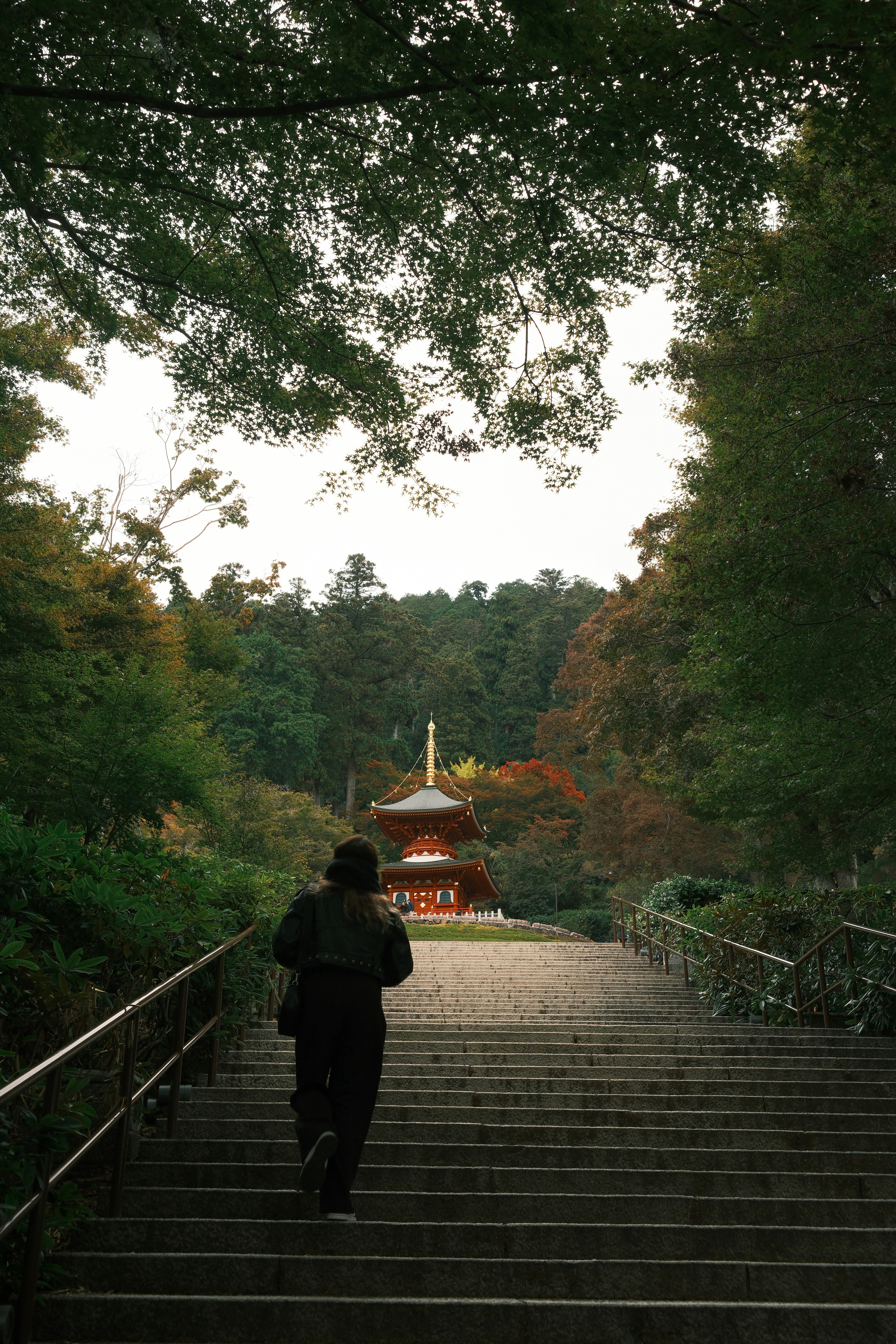 Steps Toward a Tranquil Pagoda: Autumn Garden Path to a Traditional Temple