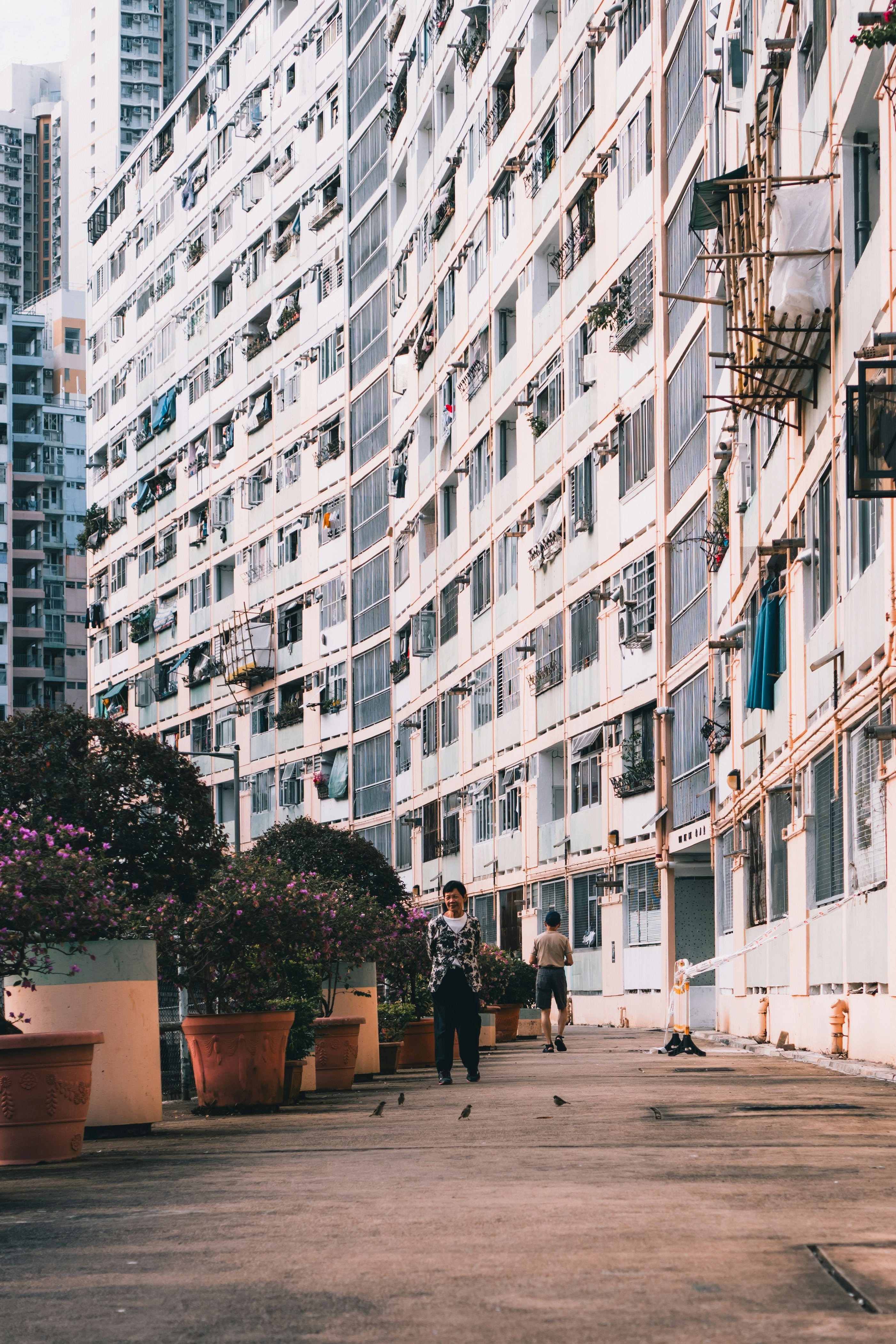 Photo by Jeffrey van Rossum with Sony Alpha 6700