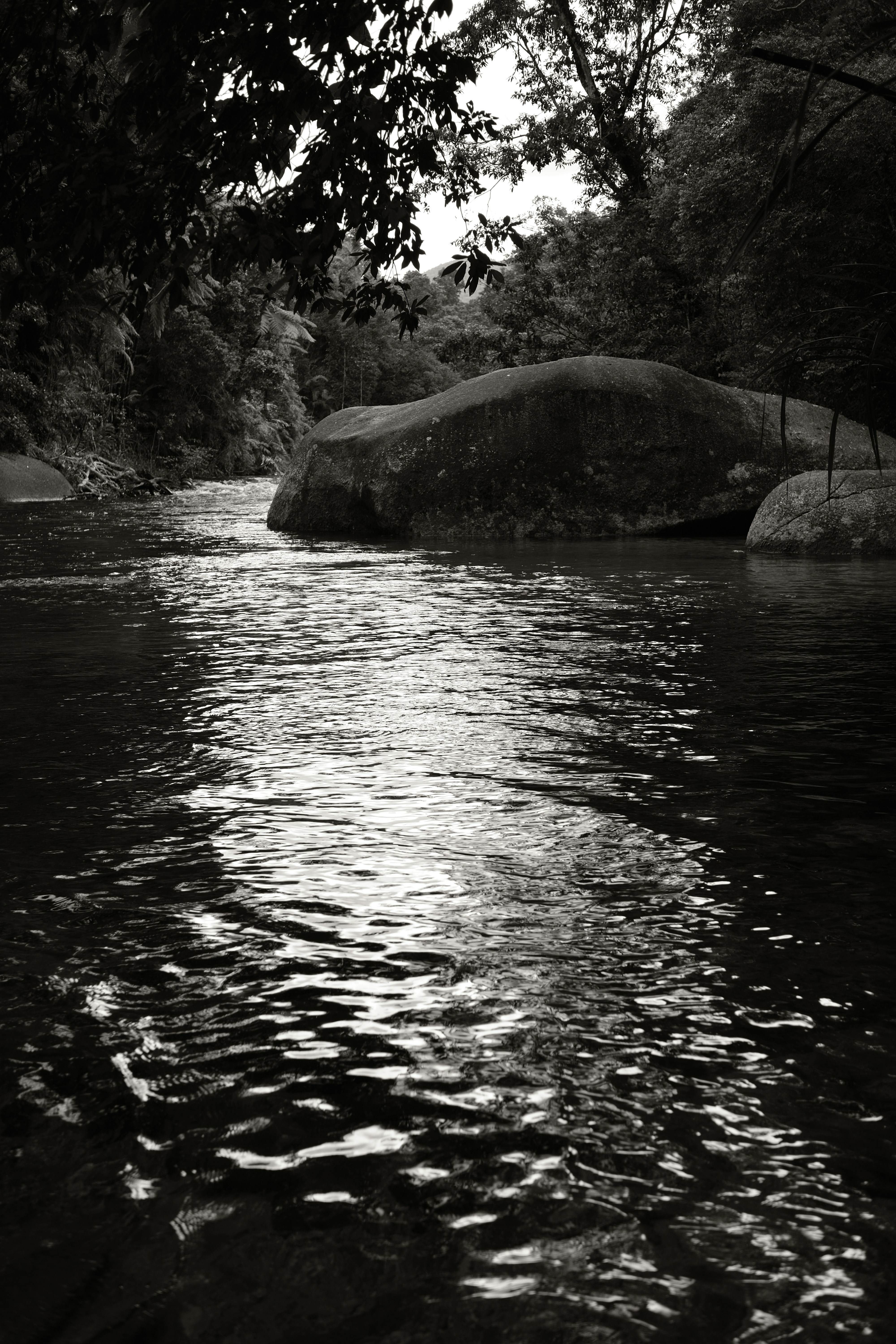 The River's Quiet Sentinel: A Bold Boulder Framed by Dappled Shade