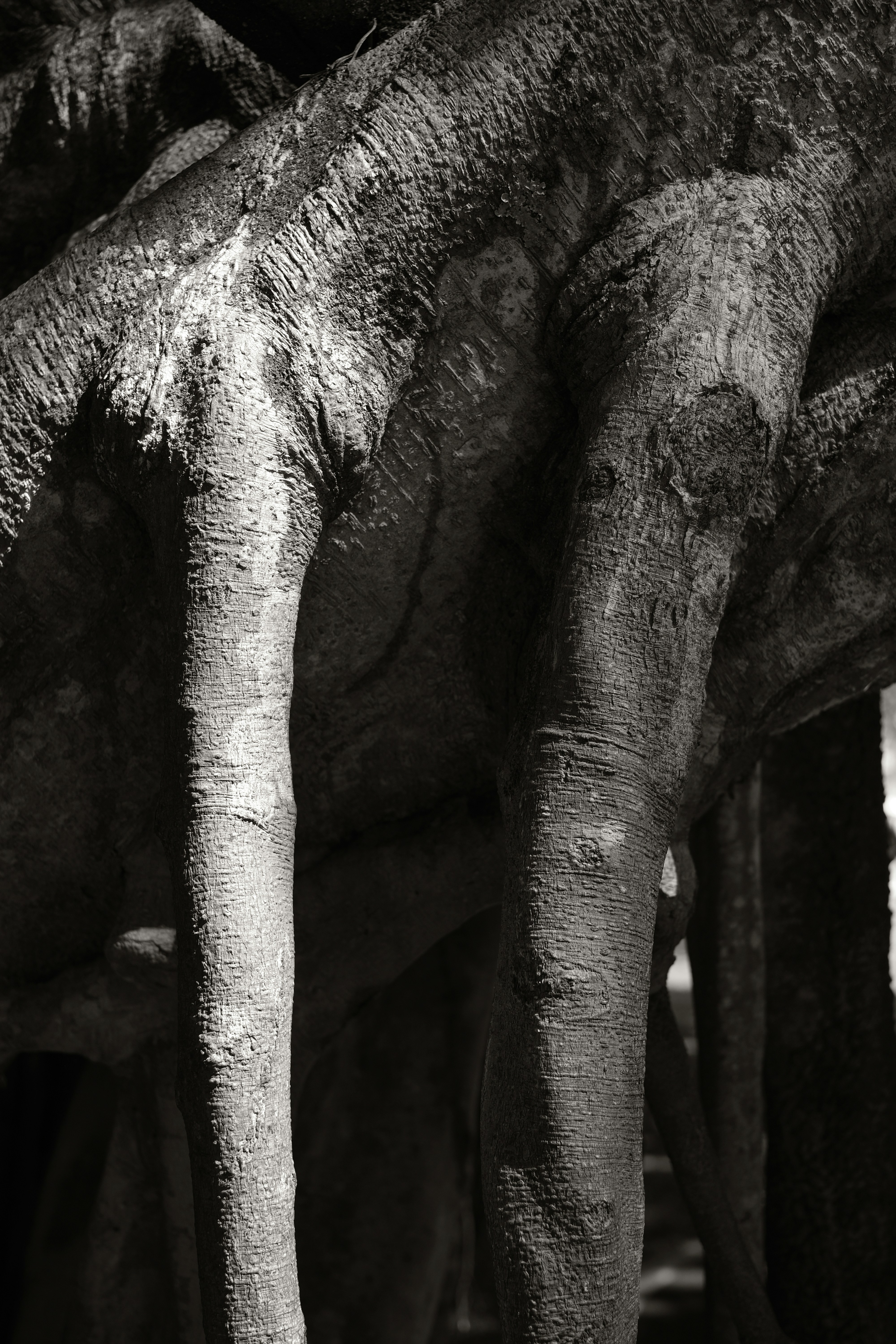 Photo by Matt Johnson with Fujifilm X-E4