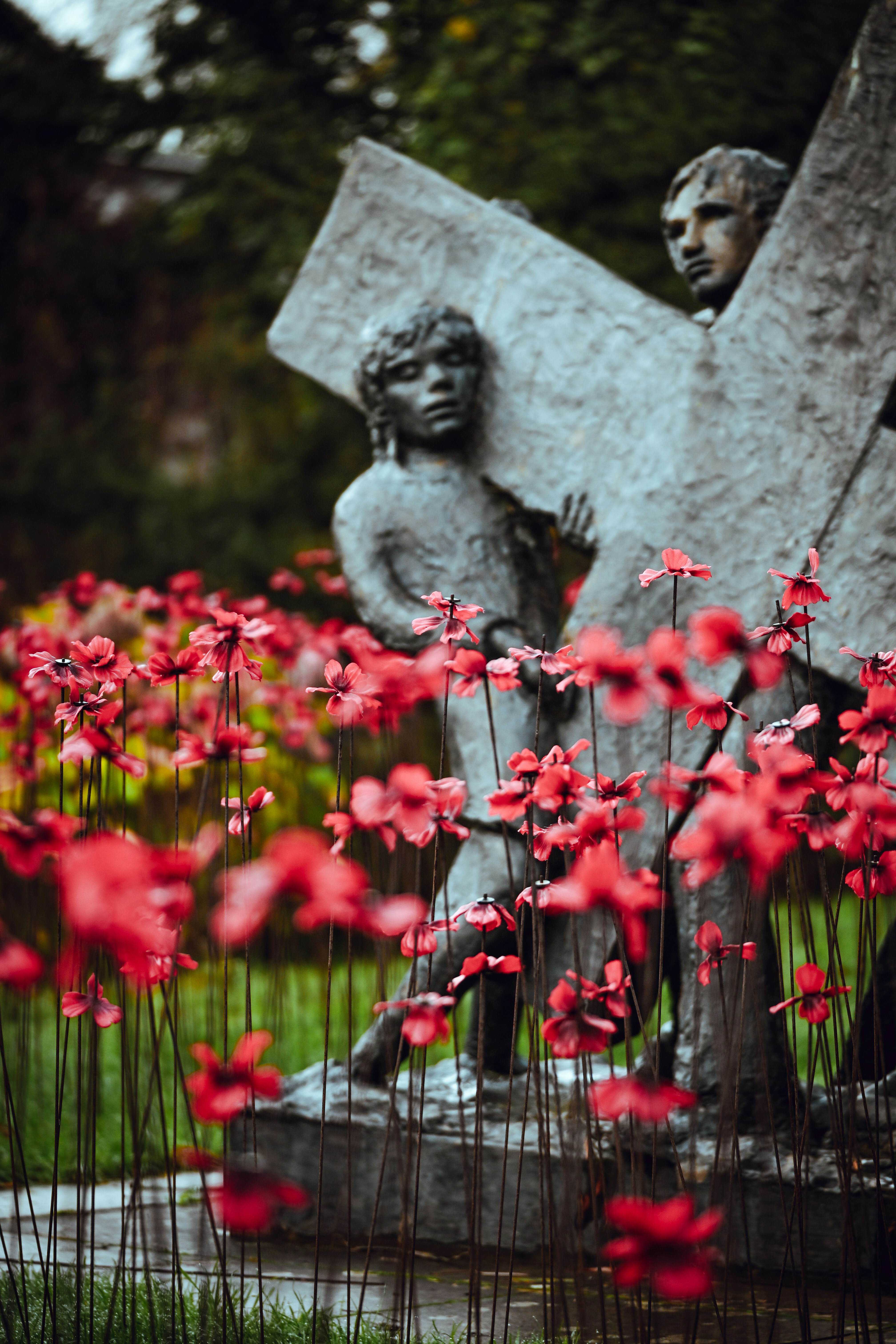 Marble Figures Beneath a Field of Crimson Petals
