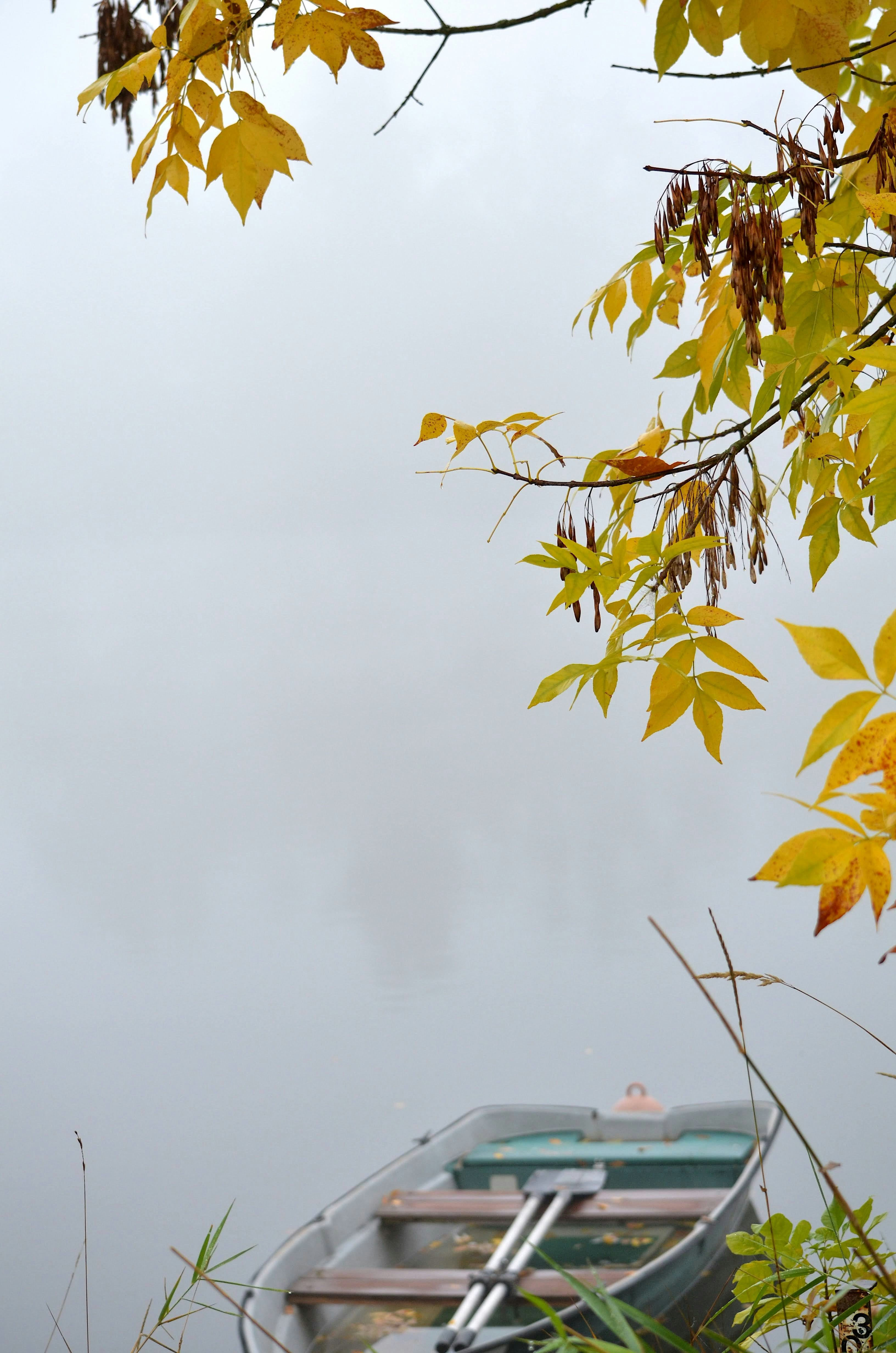 Autumn Skiff on Quiet Waters