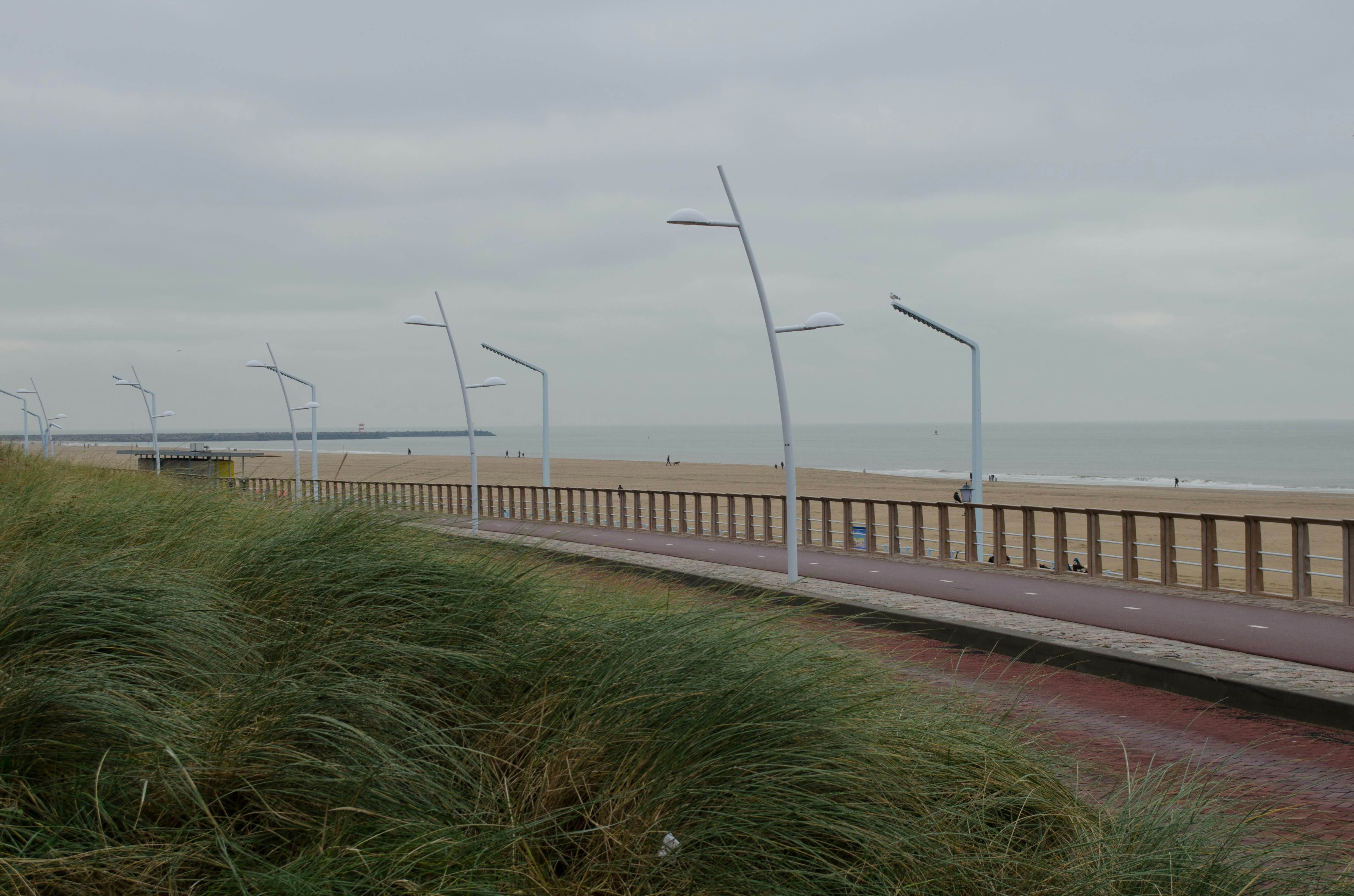 Photo by Zetta Bytes with Nikon D5100