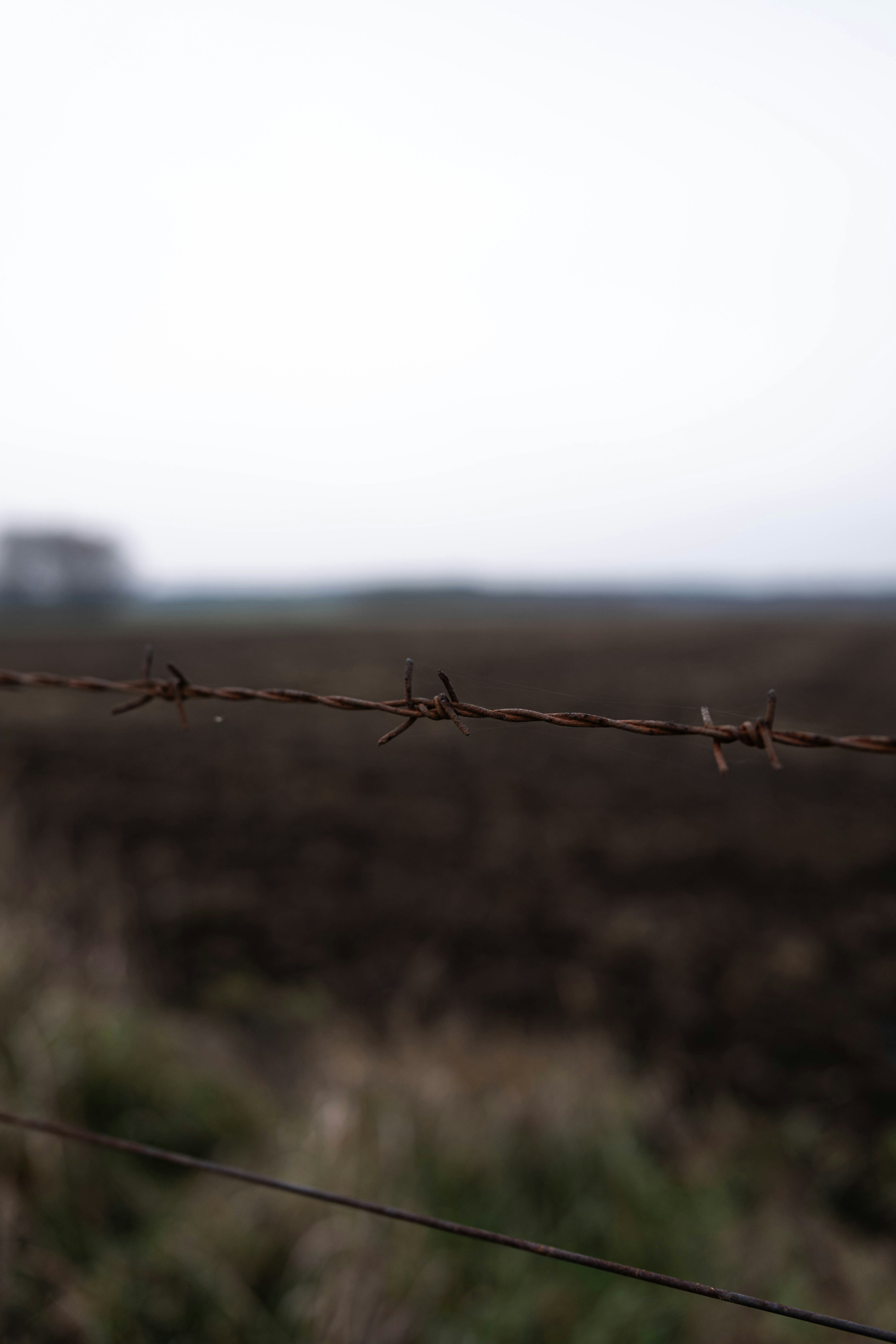 Rusted Barbed Wire Framing a Quiet Horizon in a Plowed Field