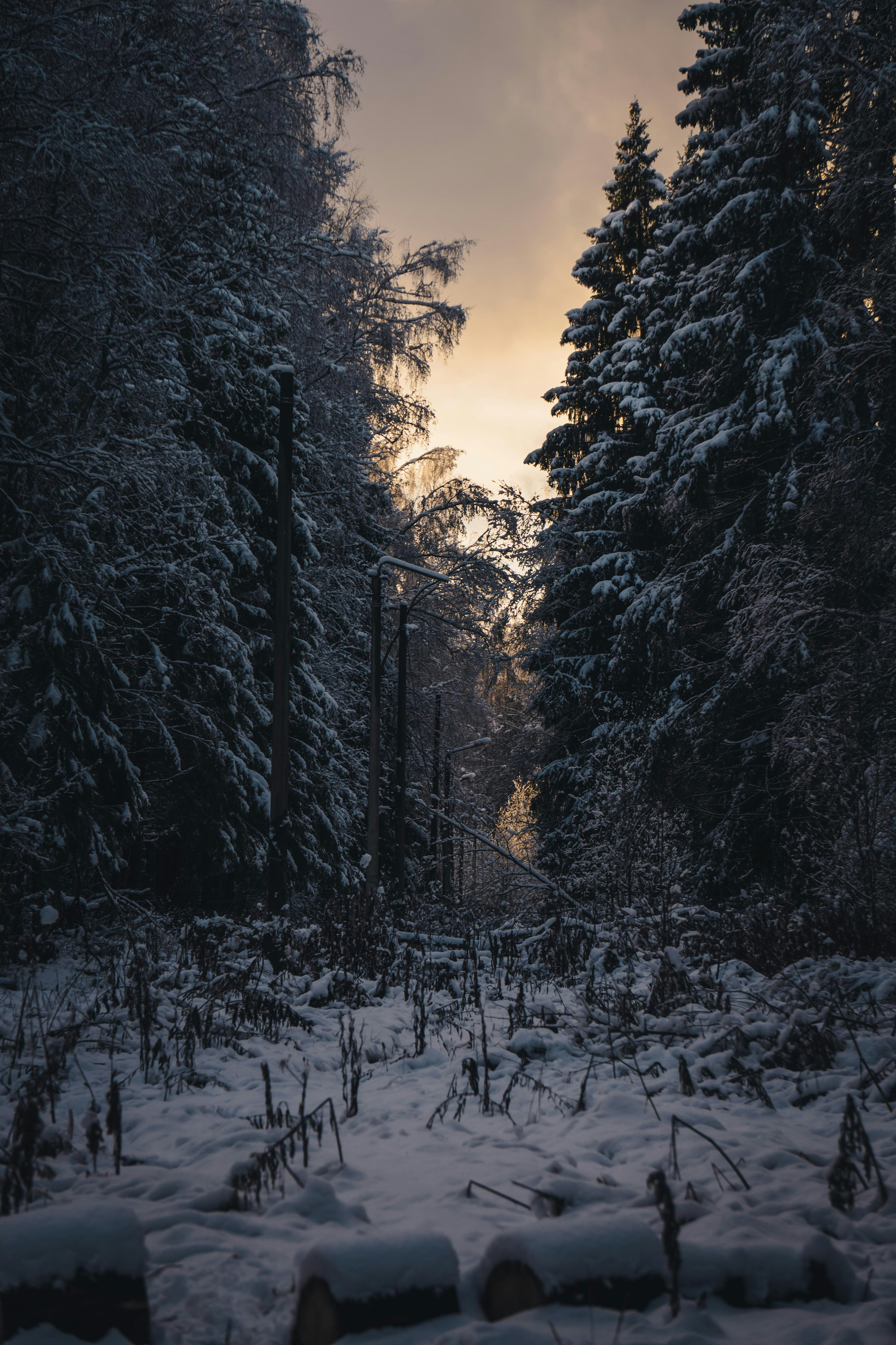 Photo by Valtentin Lisov with Sony Alpha 6400