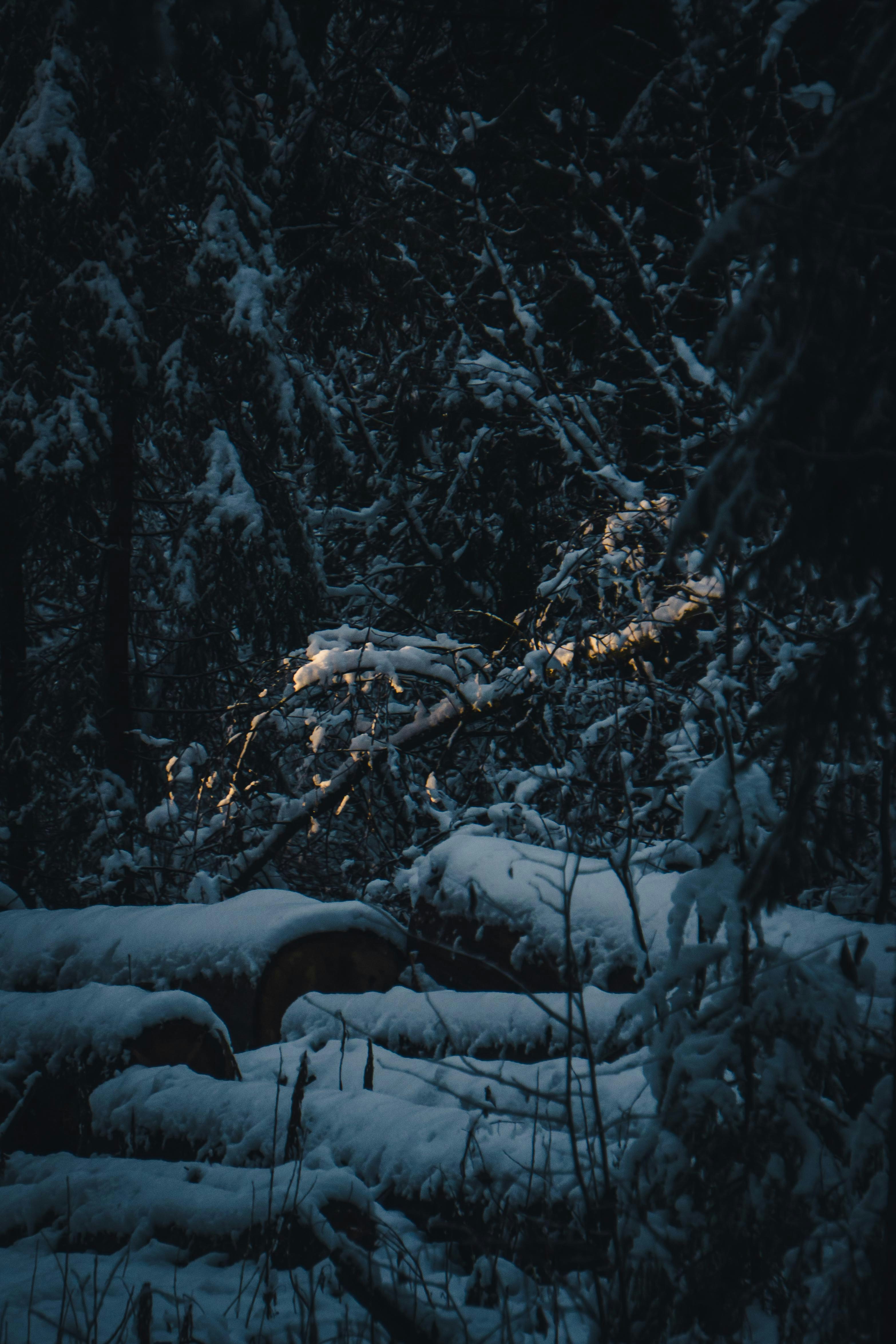 Photo by Valtentin Lisov with Sony Alpha 6400