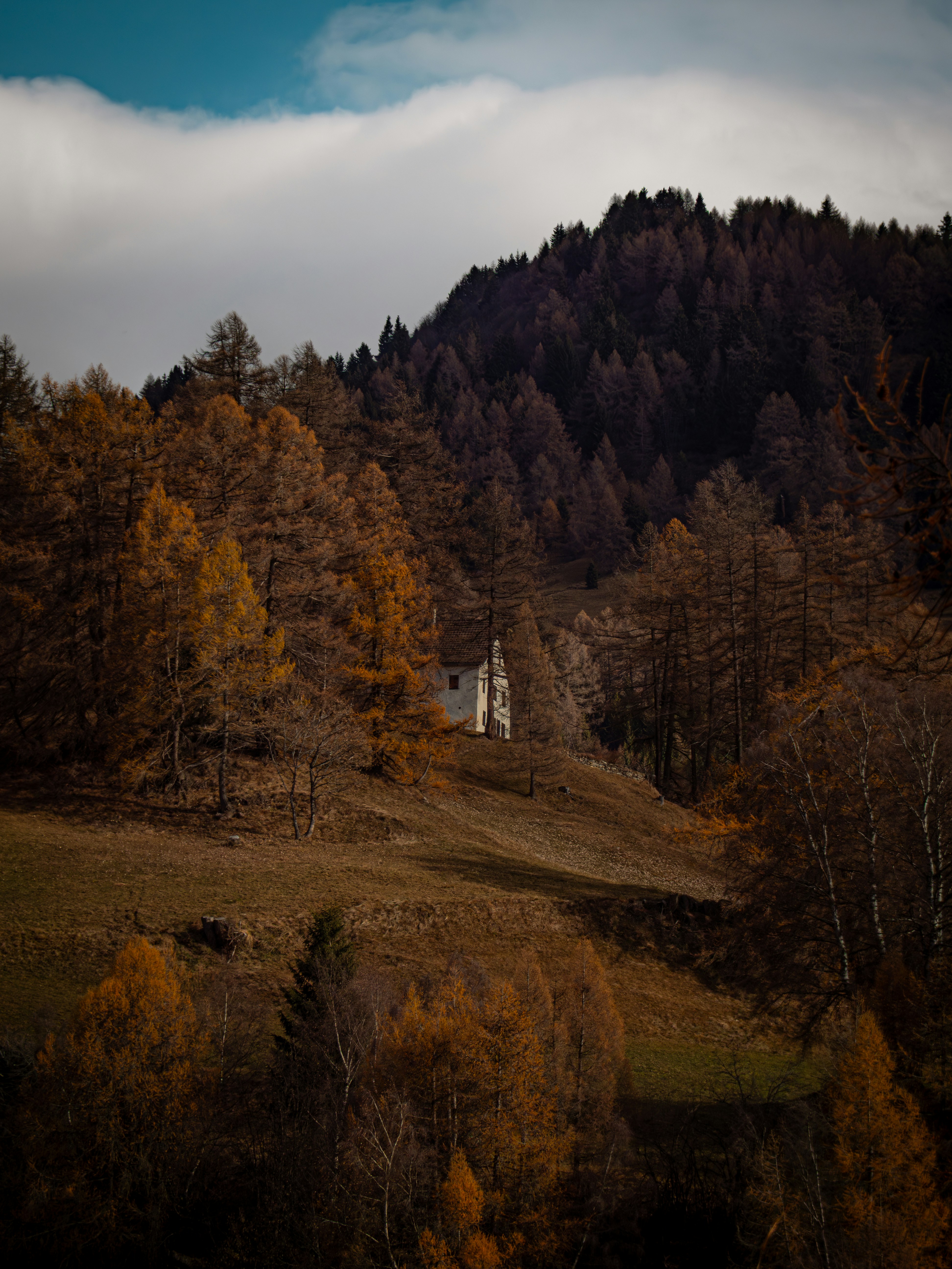 Photo by Christopher Politano with Panasonic Lumix G9