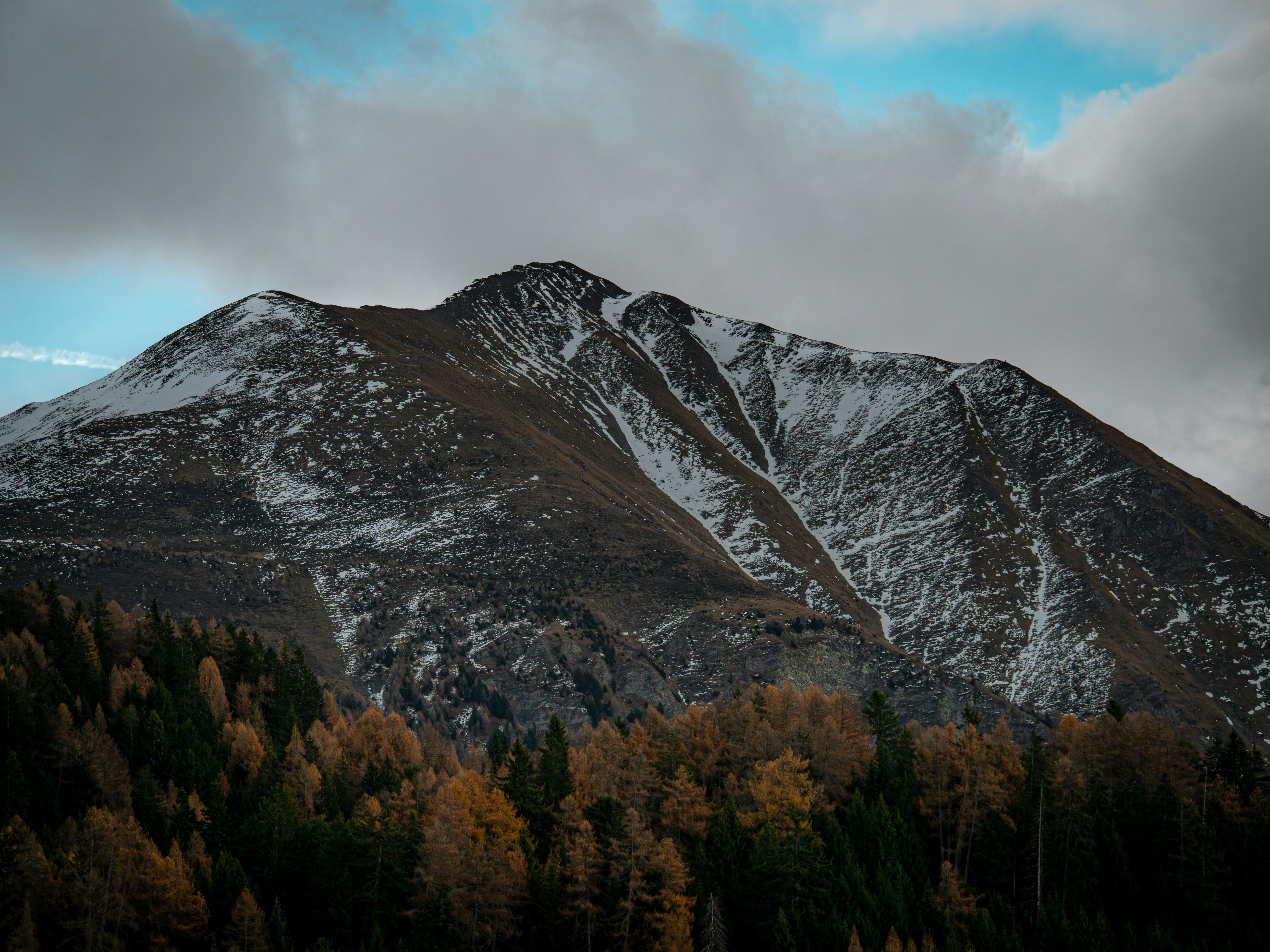 Snow-Kissed Summit Over a Golden-Pine Tapestry