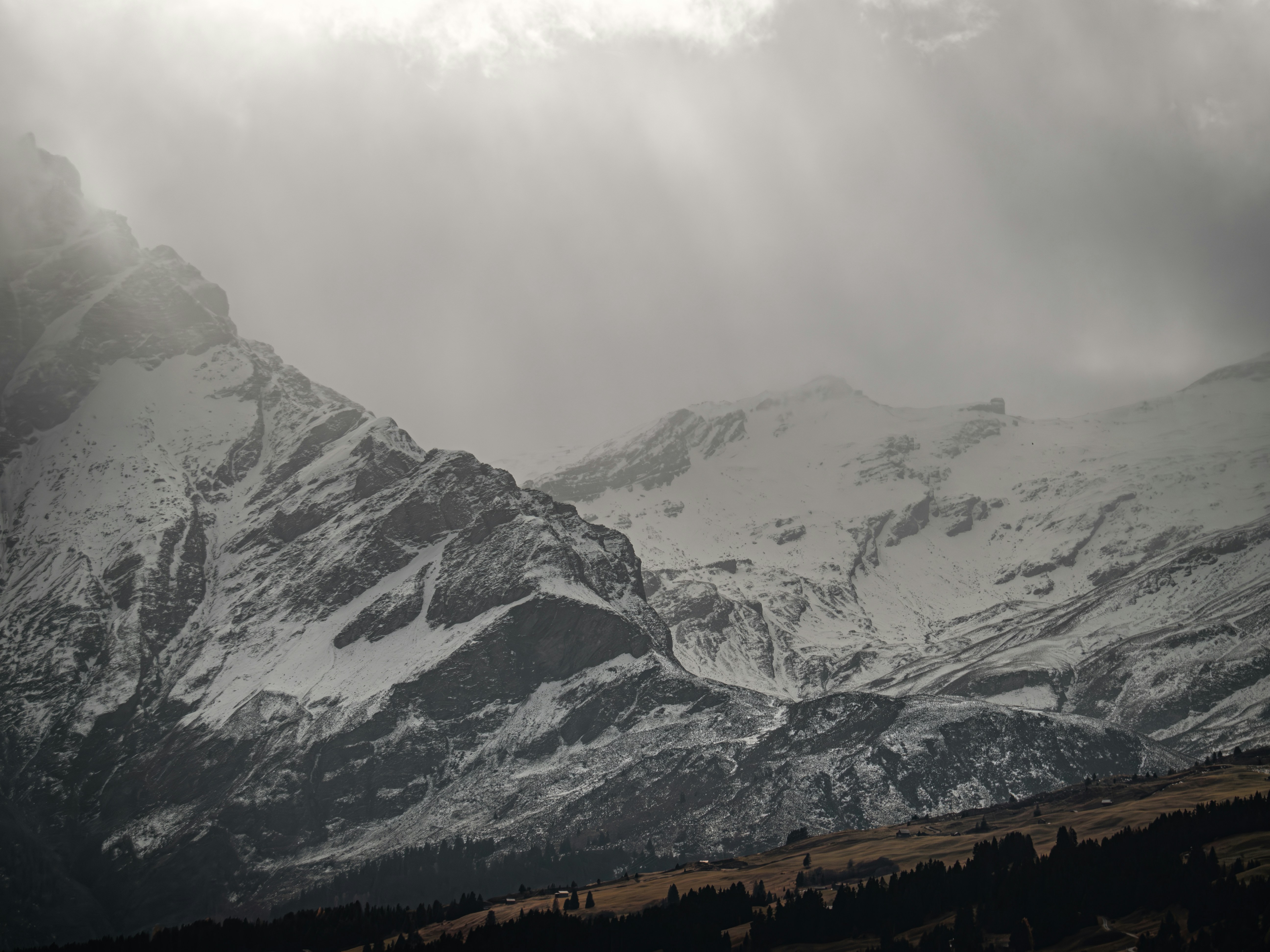 Photo by Christopher Politano with Panasonic Lumix G9