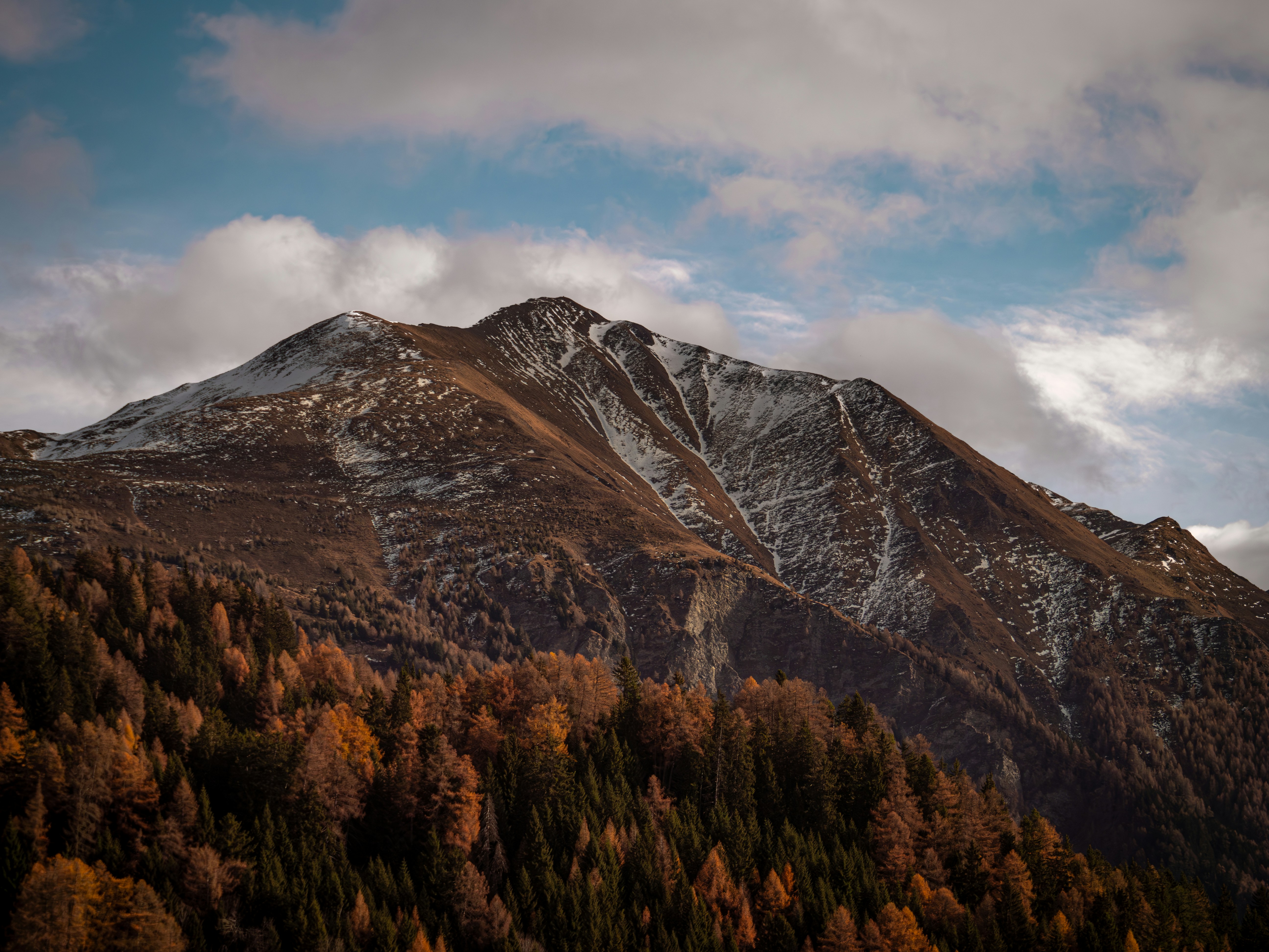 Crowning Ridge: Autumn Pines and a Snow-dusted Summit