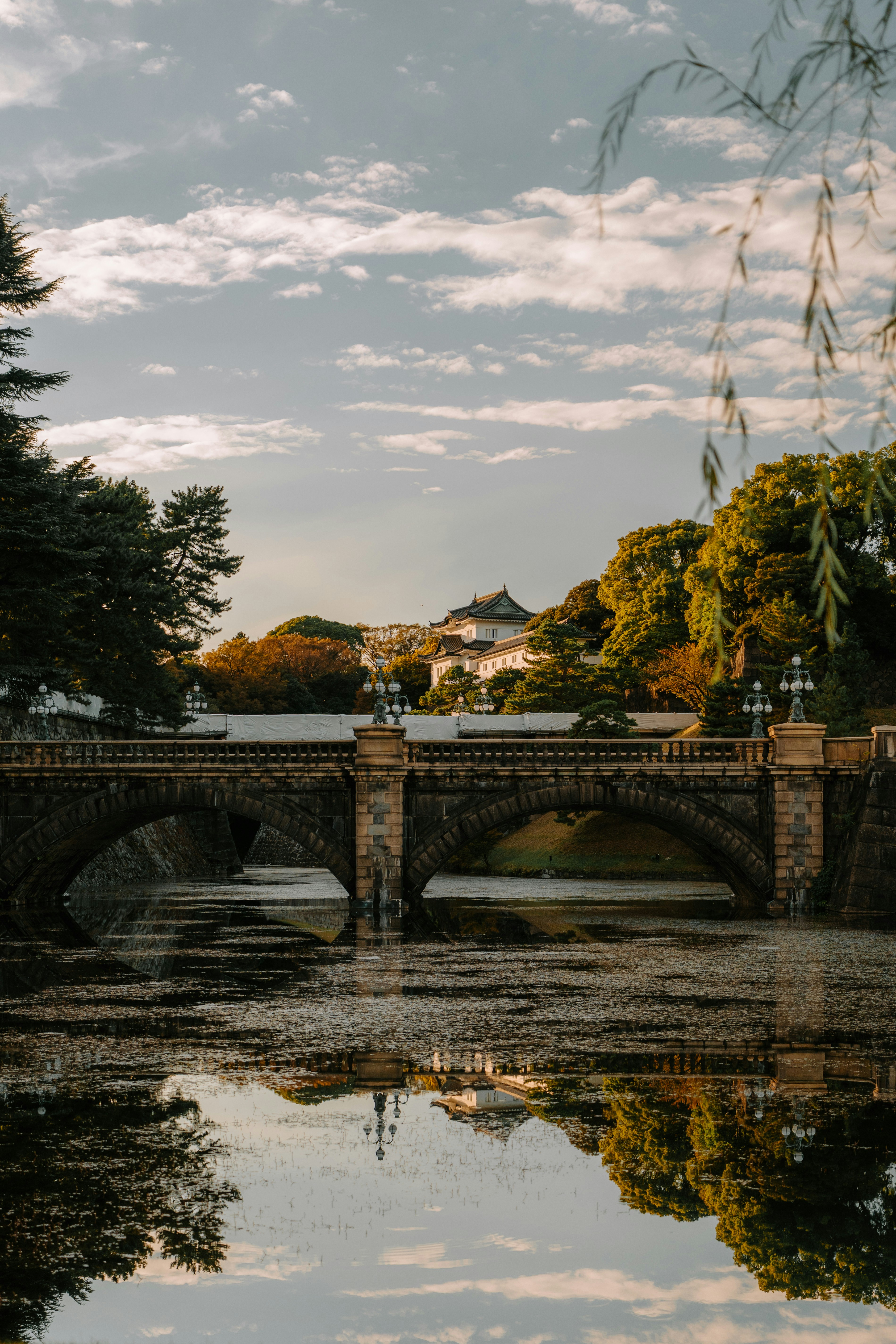 Photo by Takashi S with Sony Alpha 7C II