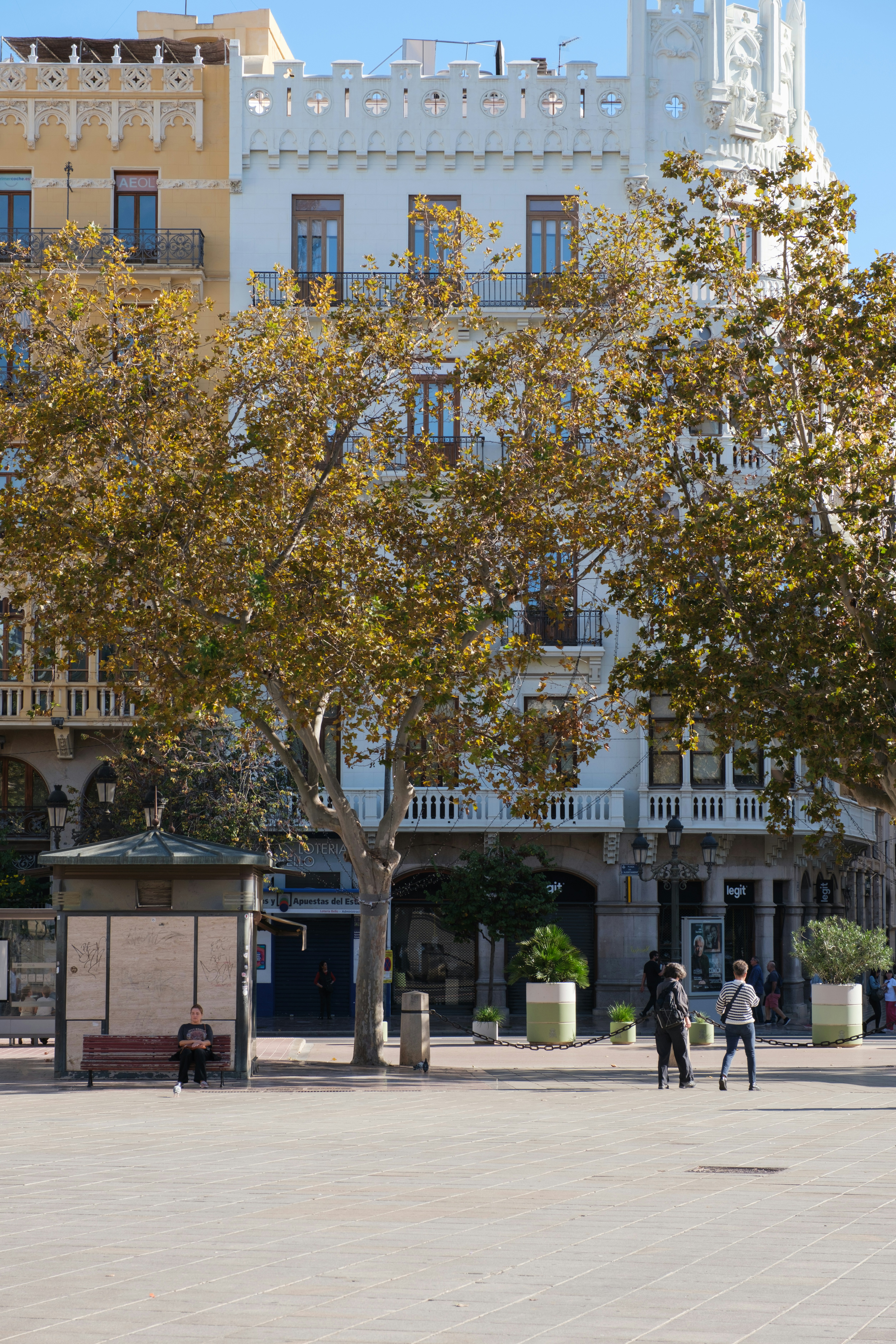 Autumn Light Framing an Ornate City Facade