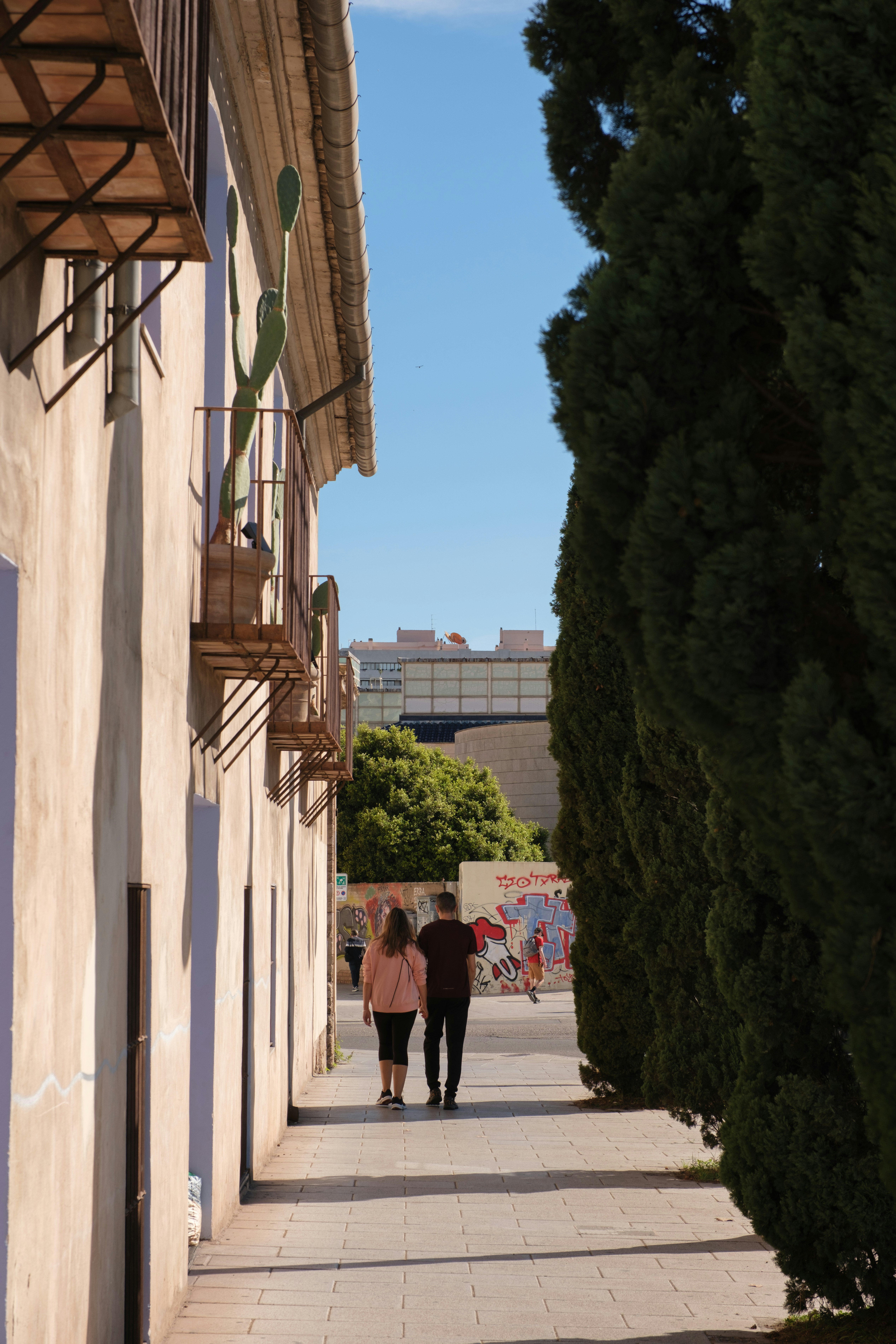 Photo by Stefan Scheepmaker with Fujifilm X-T50