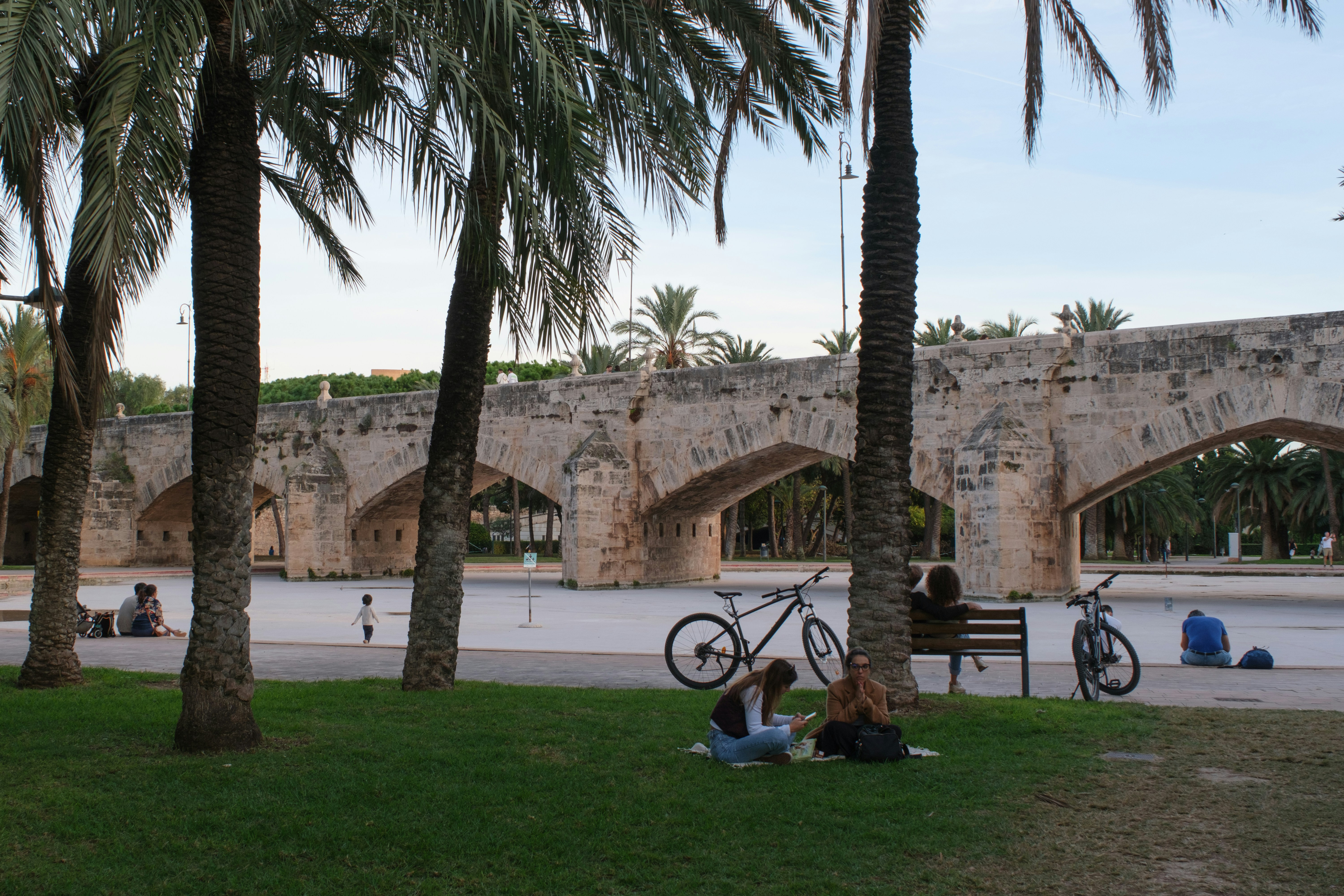 Quiet Moments Under Palm Arches: A Park Afternoon