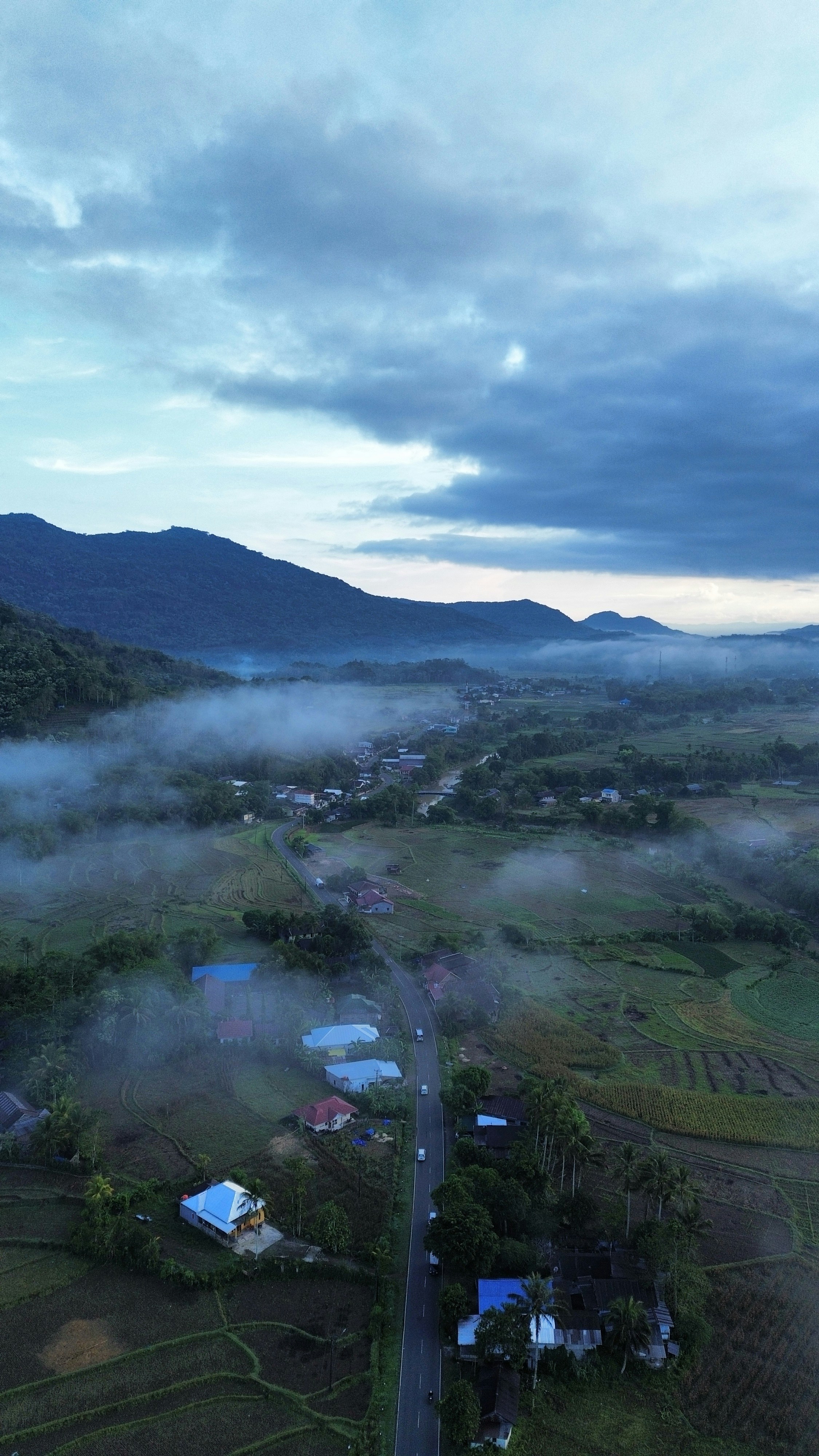 Mist-Wrapped Valley: A Winding Road Through Quiet Mountains