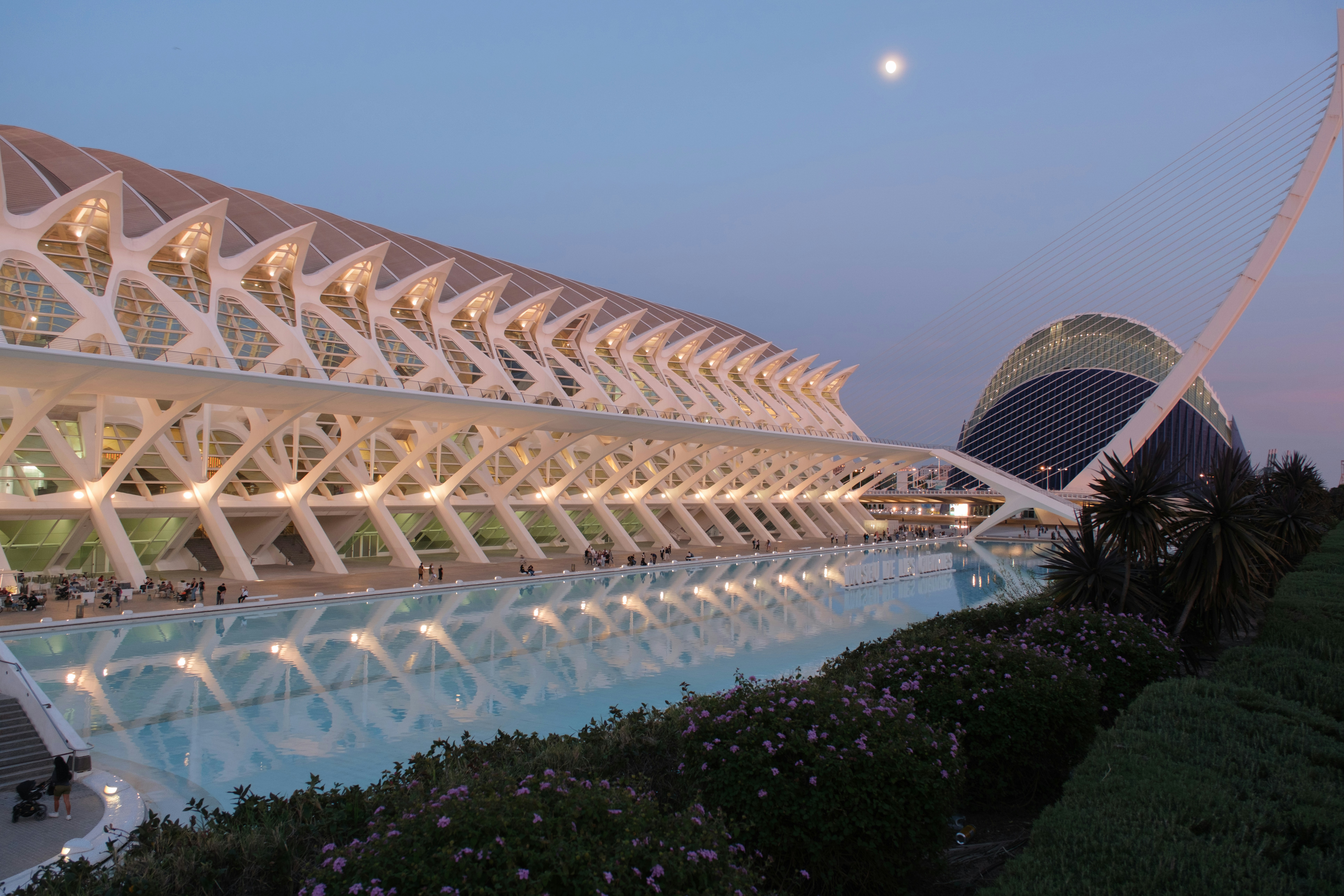 Moonlit Arches Over Valencia: Water Mirror and the Glass Dome