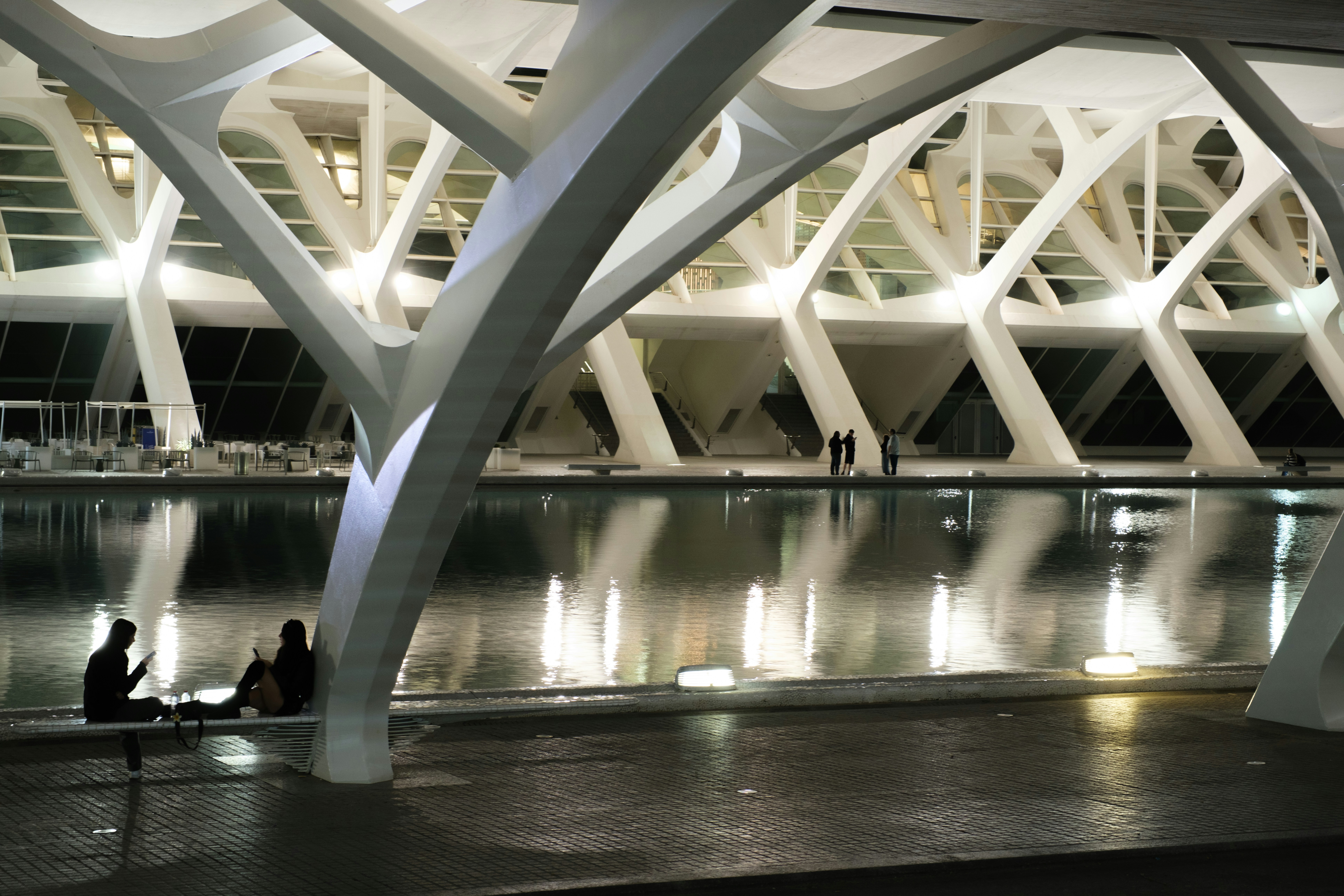 Interwoven Arches Mirror a Quiet Night by the Water
