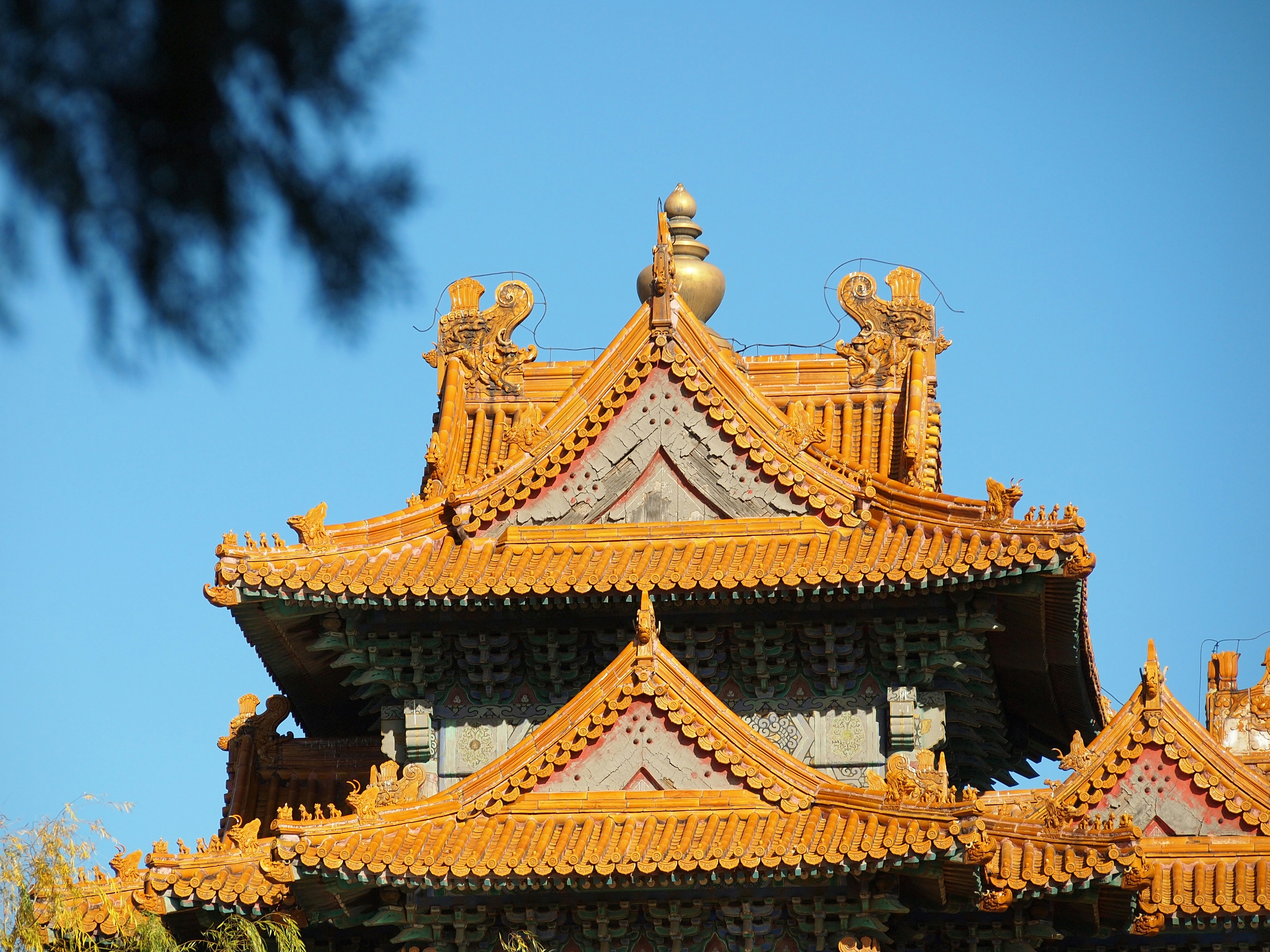 Photo by shawnie yang with Olympus E-PL1