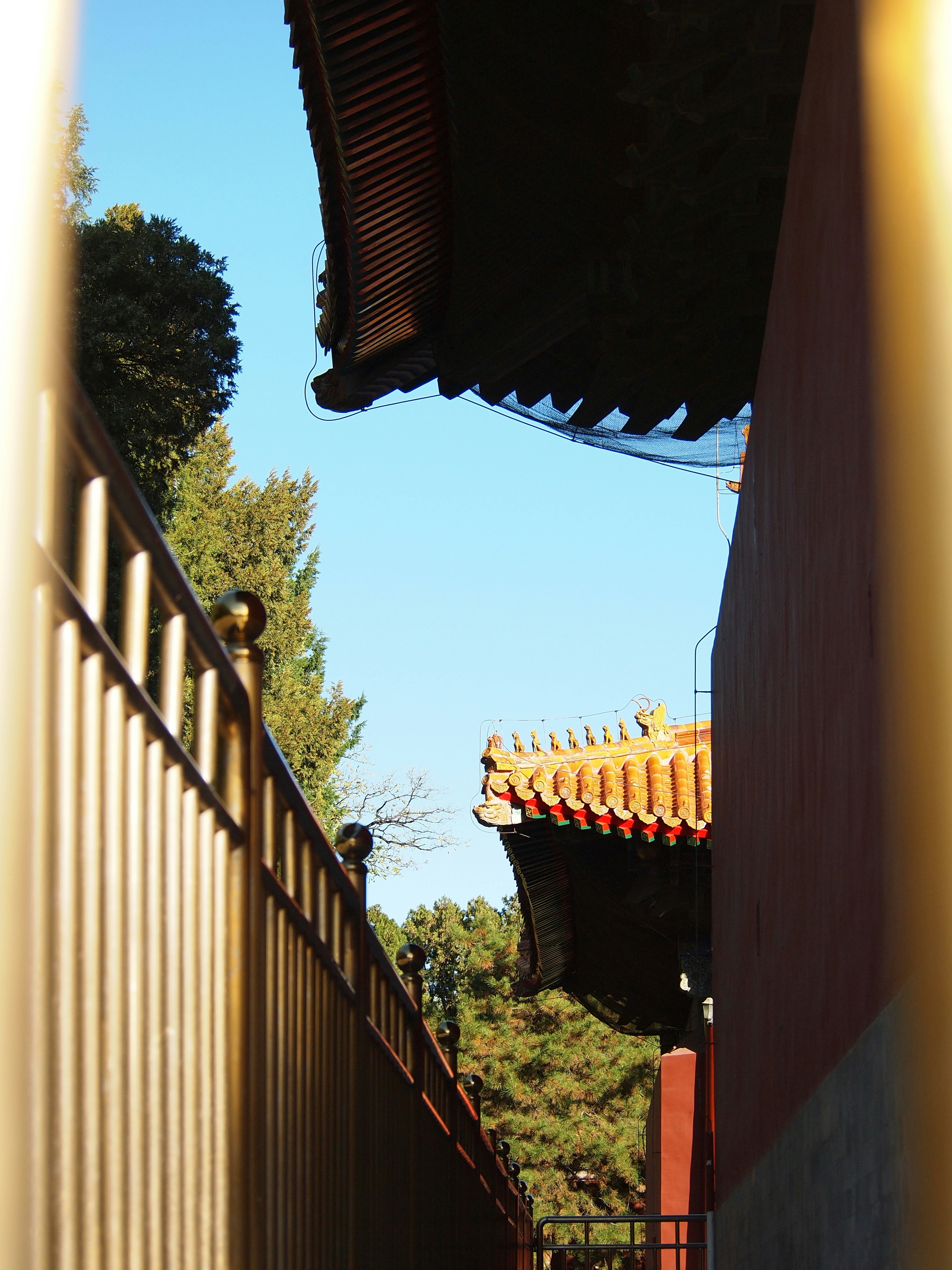 Photo by shawnie yang with Olympus E-PL1