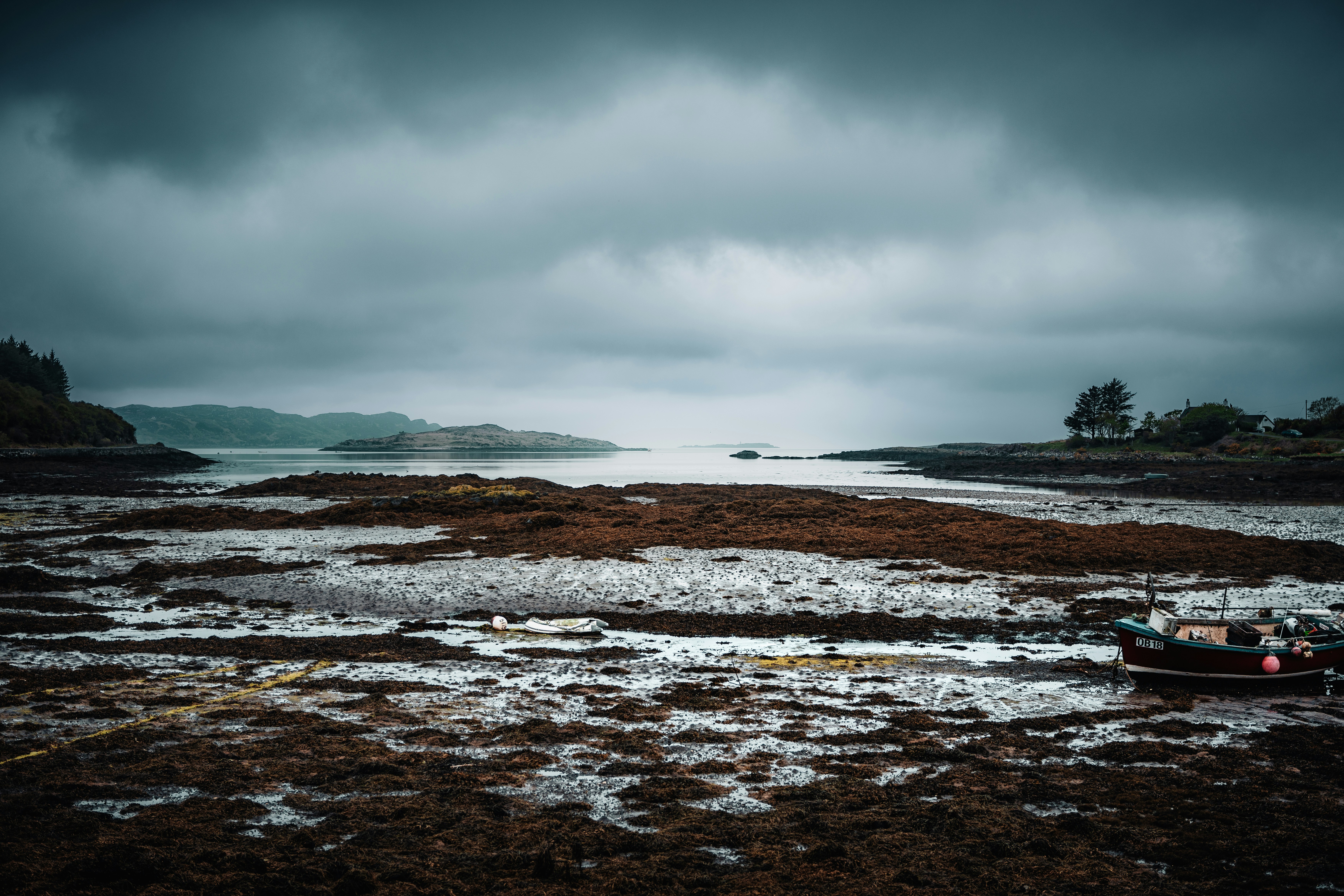 Storm-Whispered Shore: A Lone Boat on a Seaweed-Tinged Tide