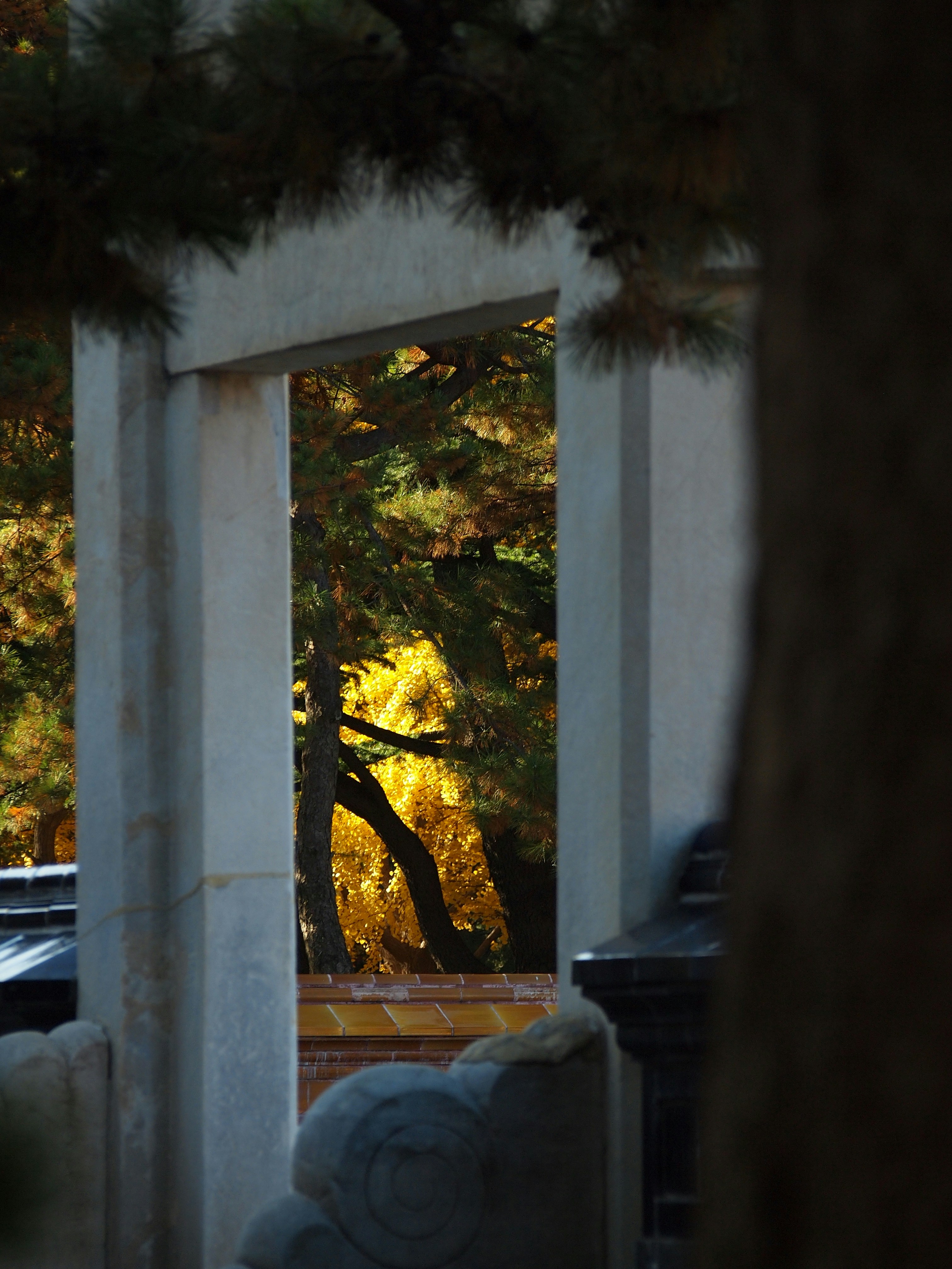 Photo by shawnie yang with Olympus E-PL1