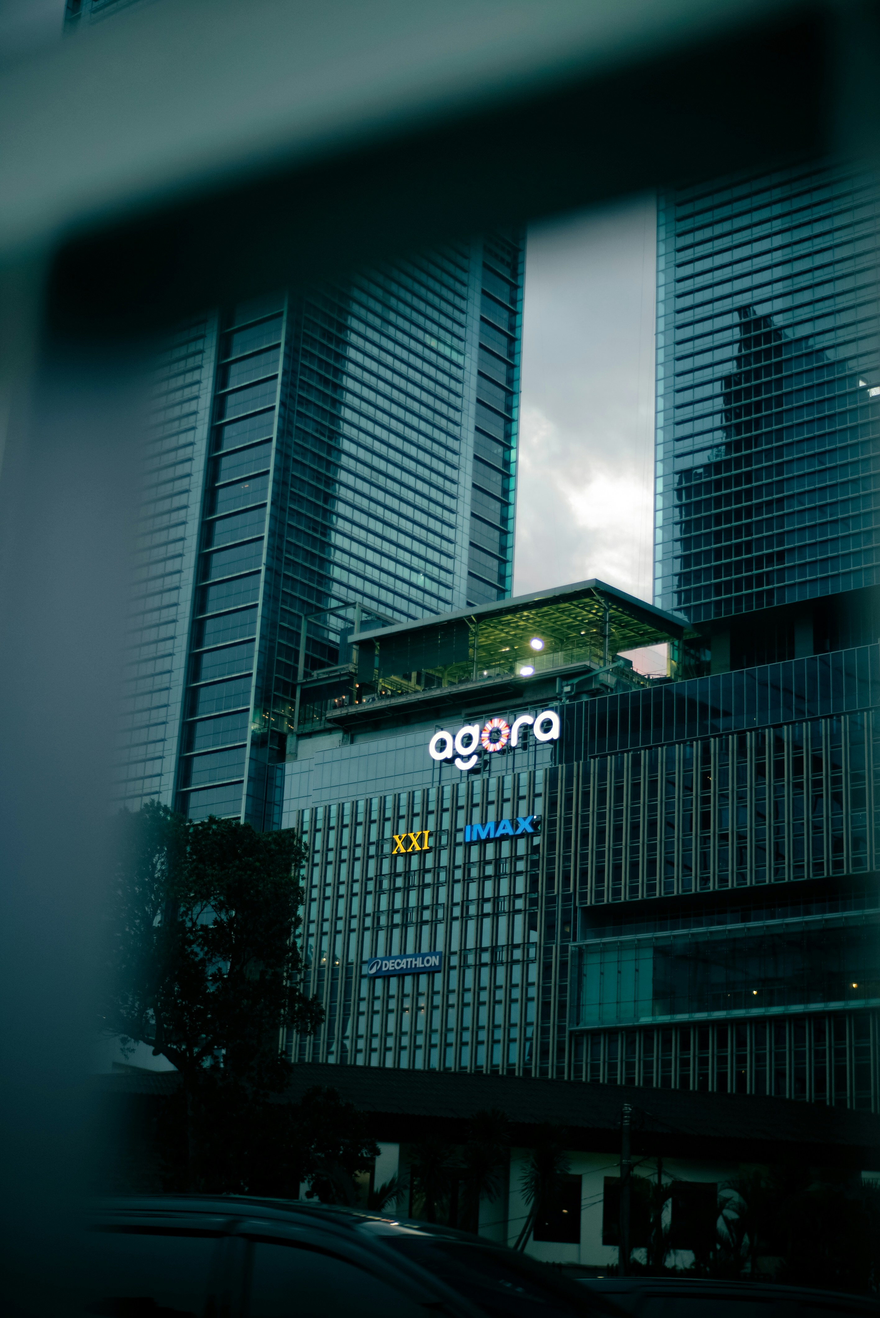 Agora Neon on a Glass Canyon