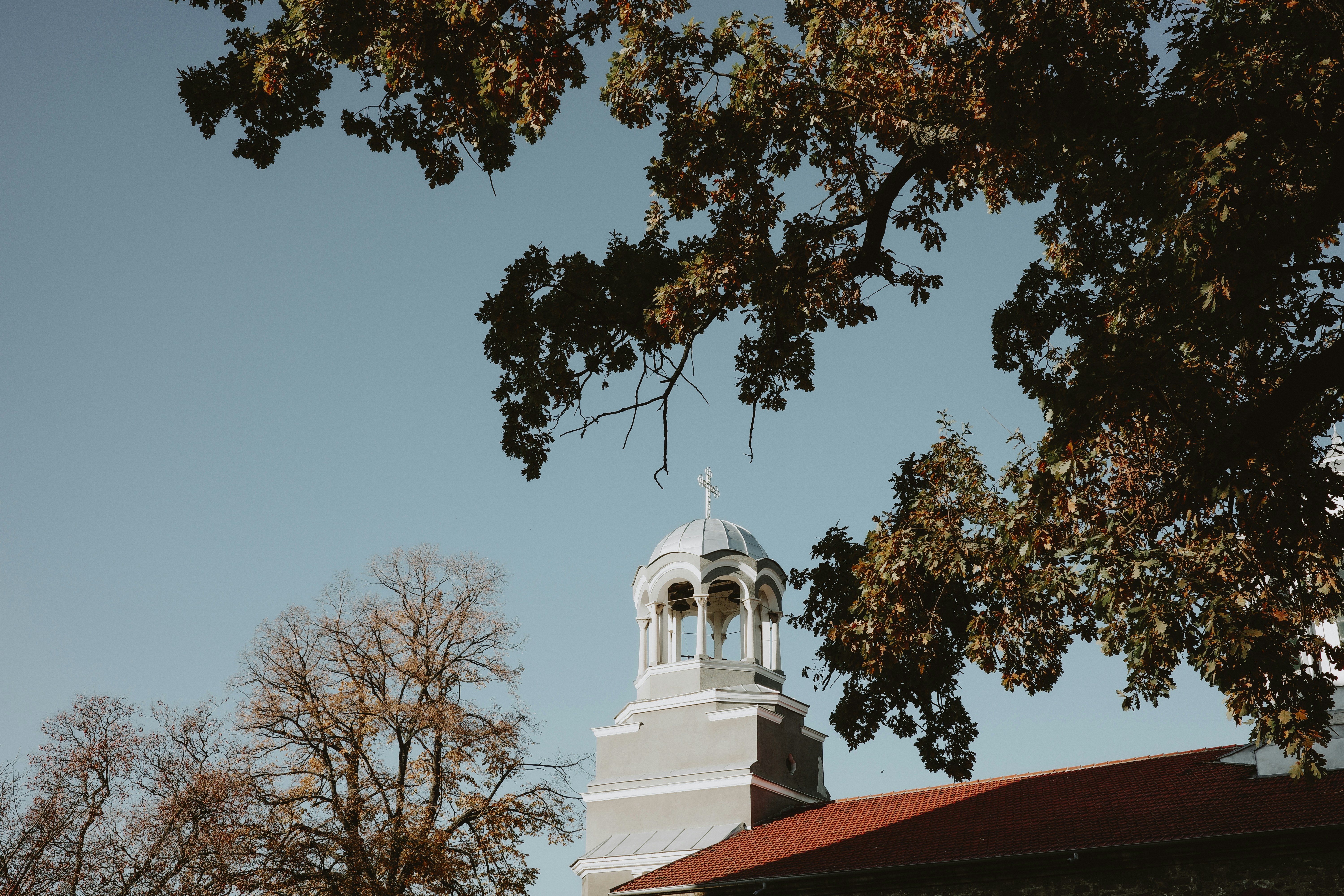 Cupola Rising Through Autumn Canopy on a Quiet Campus Roof