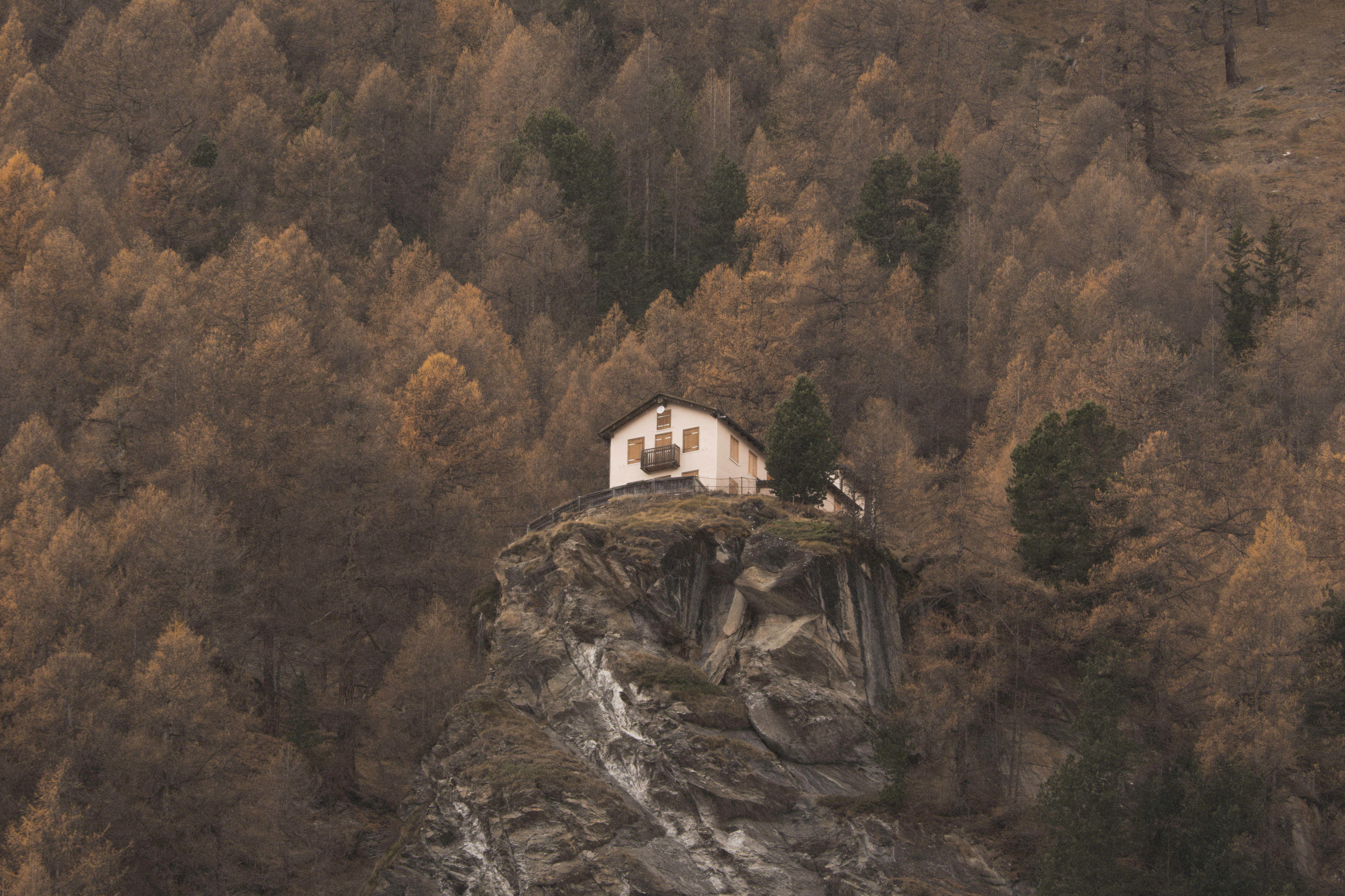 Cliffside Refuge: A White House Crowned by Autumn Pines