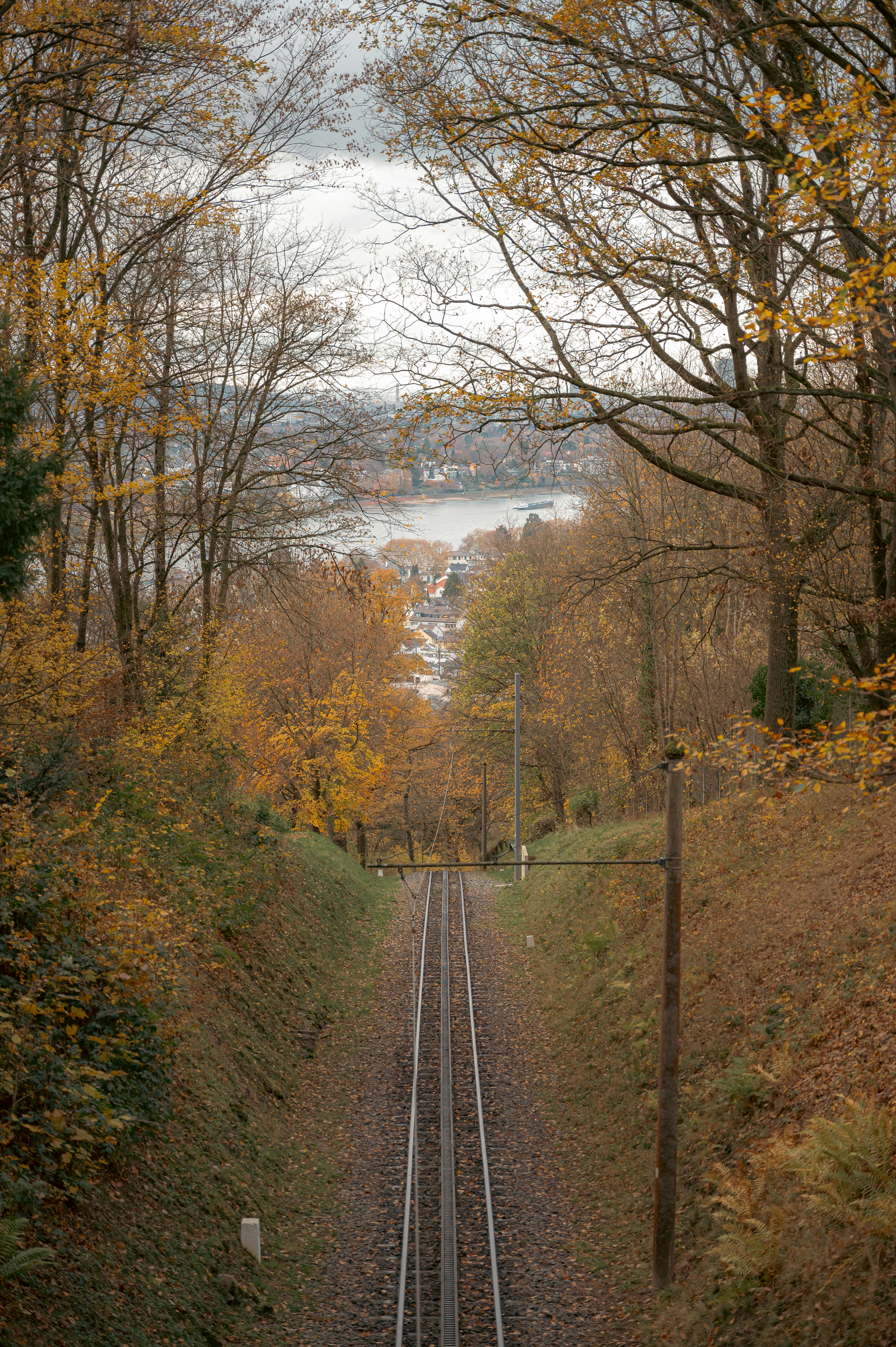 Converging Rails through Autumn: Descent to a Lakeside Town