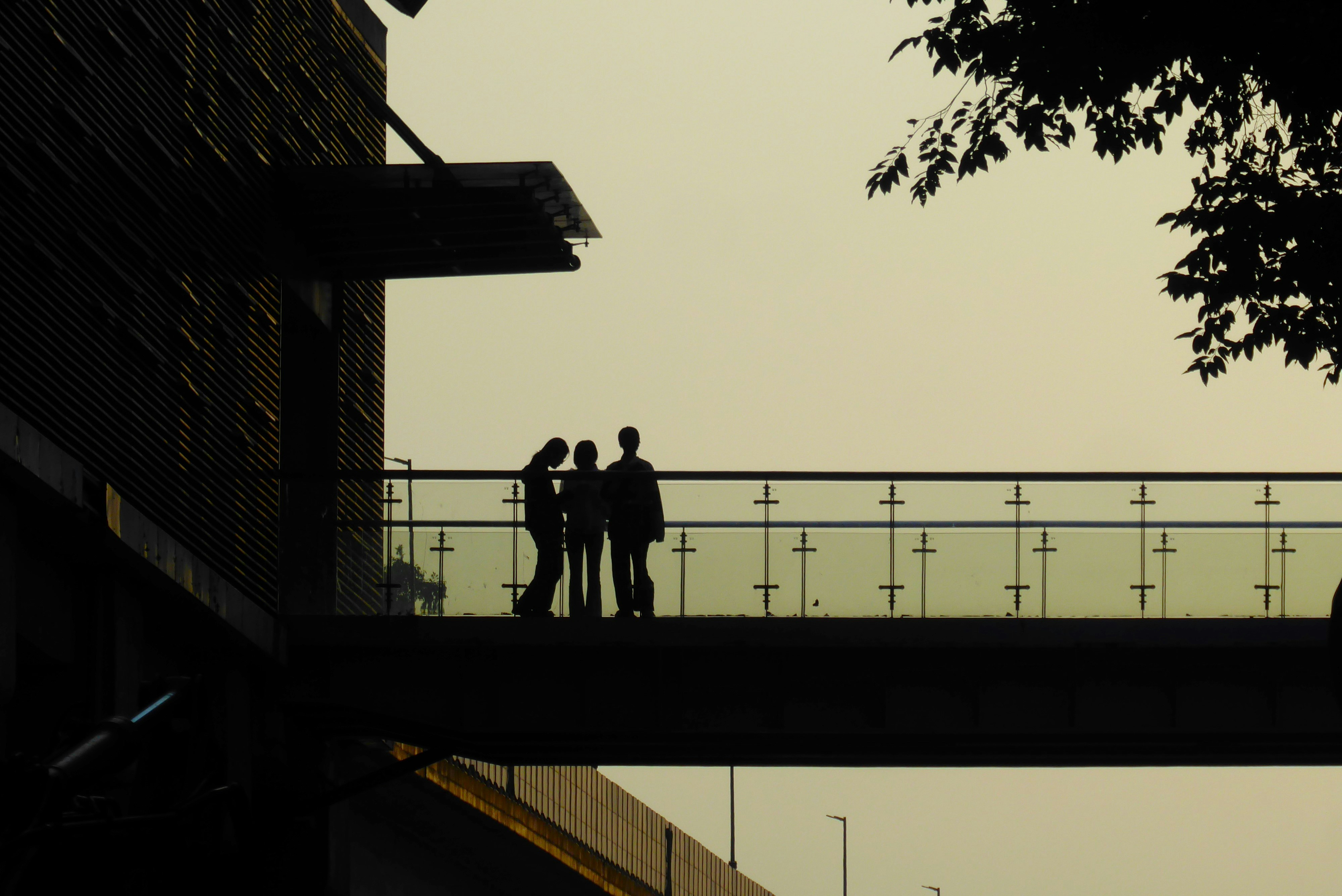 Photo by Ivy Dao with Panasonic Lumix TZ70