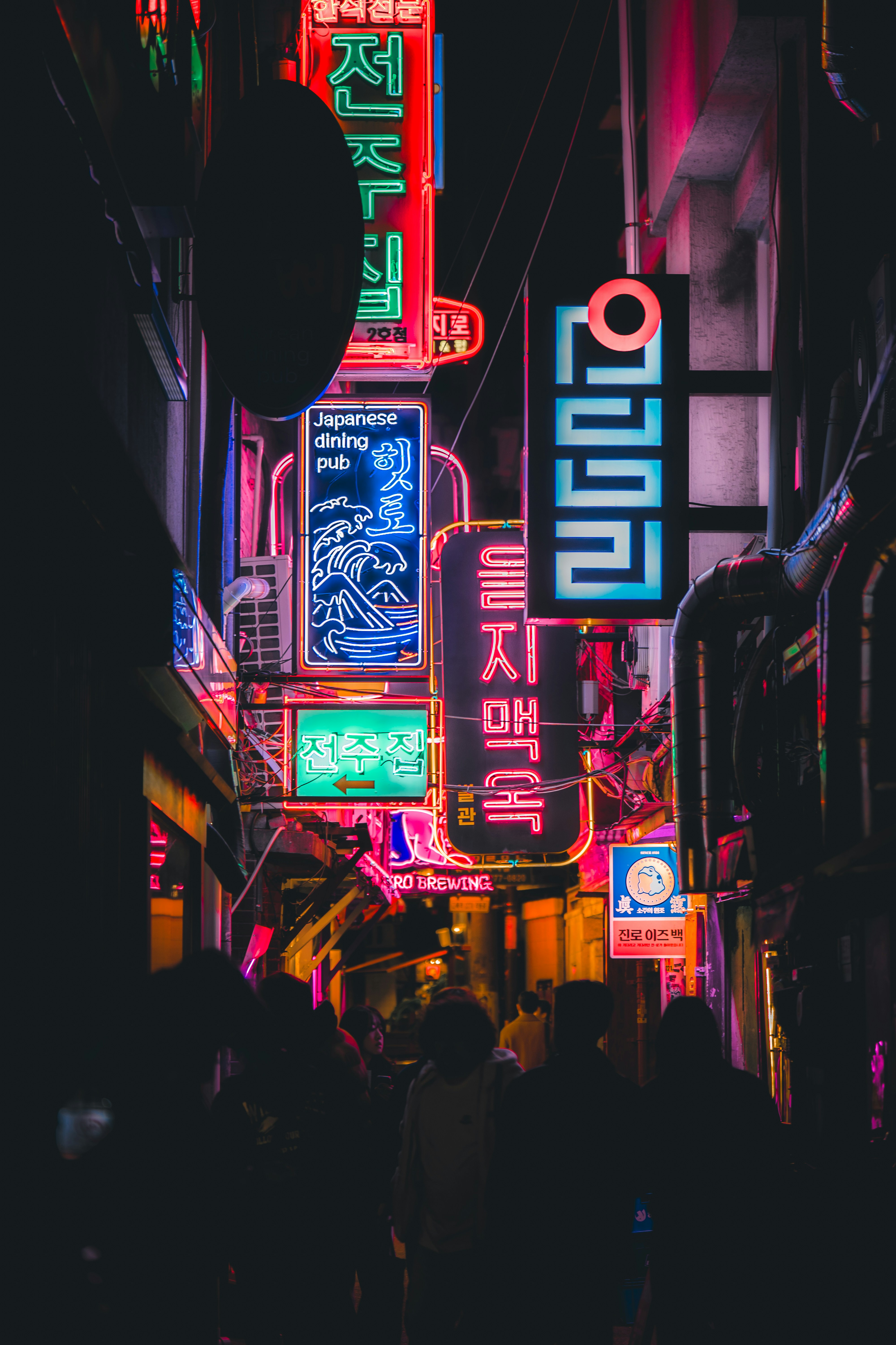 Photo by Ben Kim with Sony Alpha 7 III