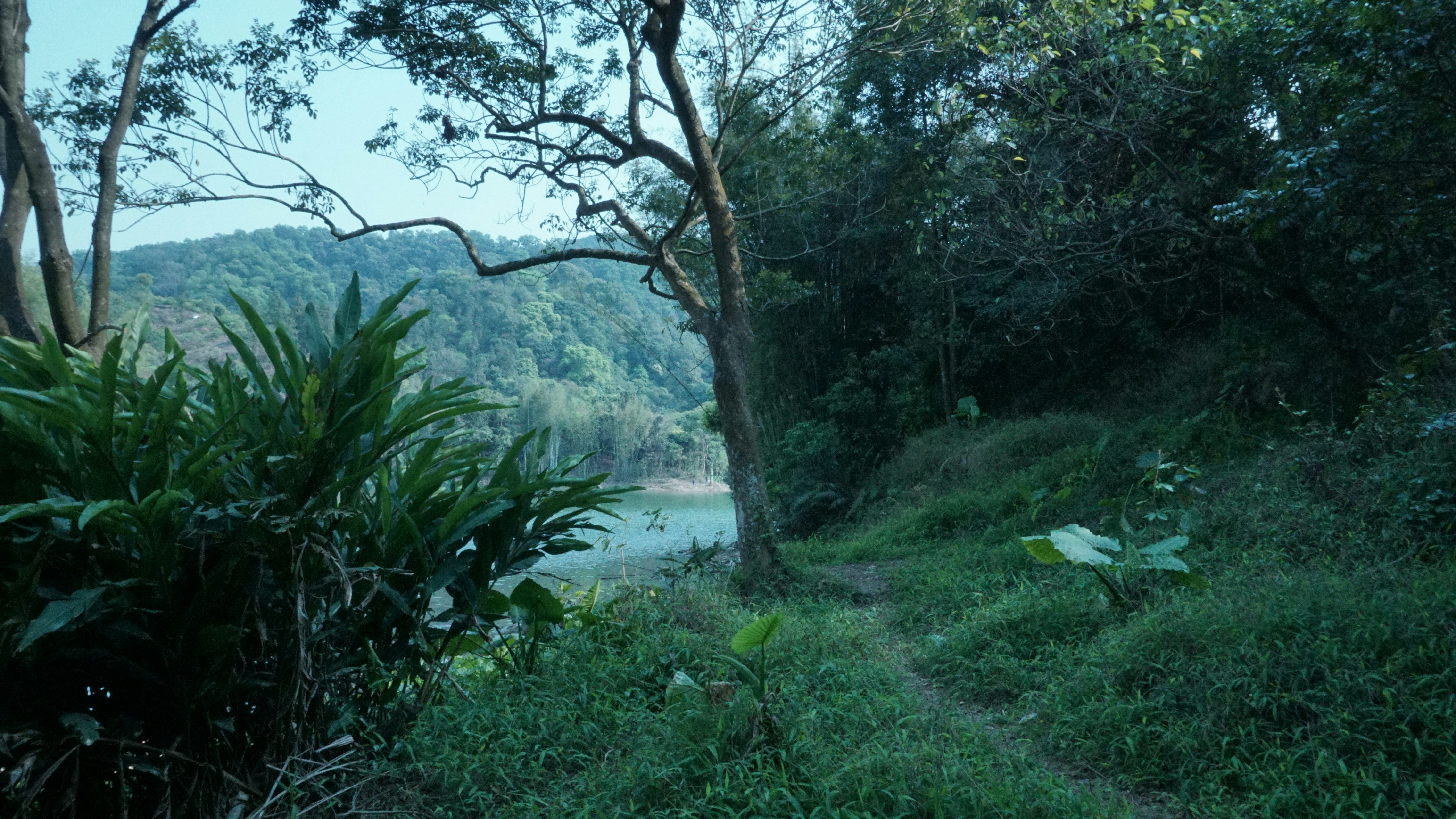 Photo by Zanxinz Z with Sony Alpha 6000