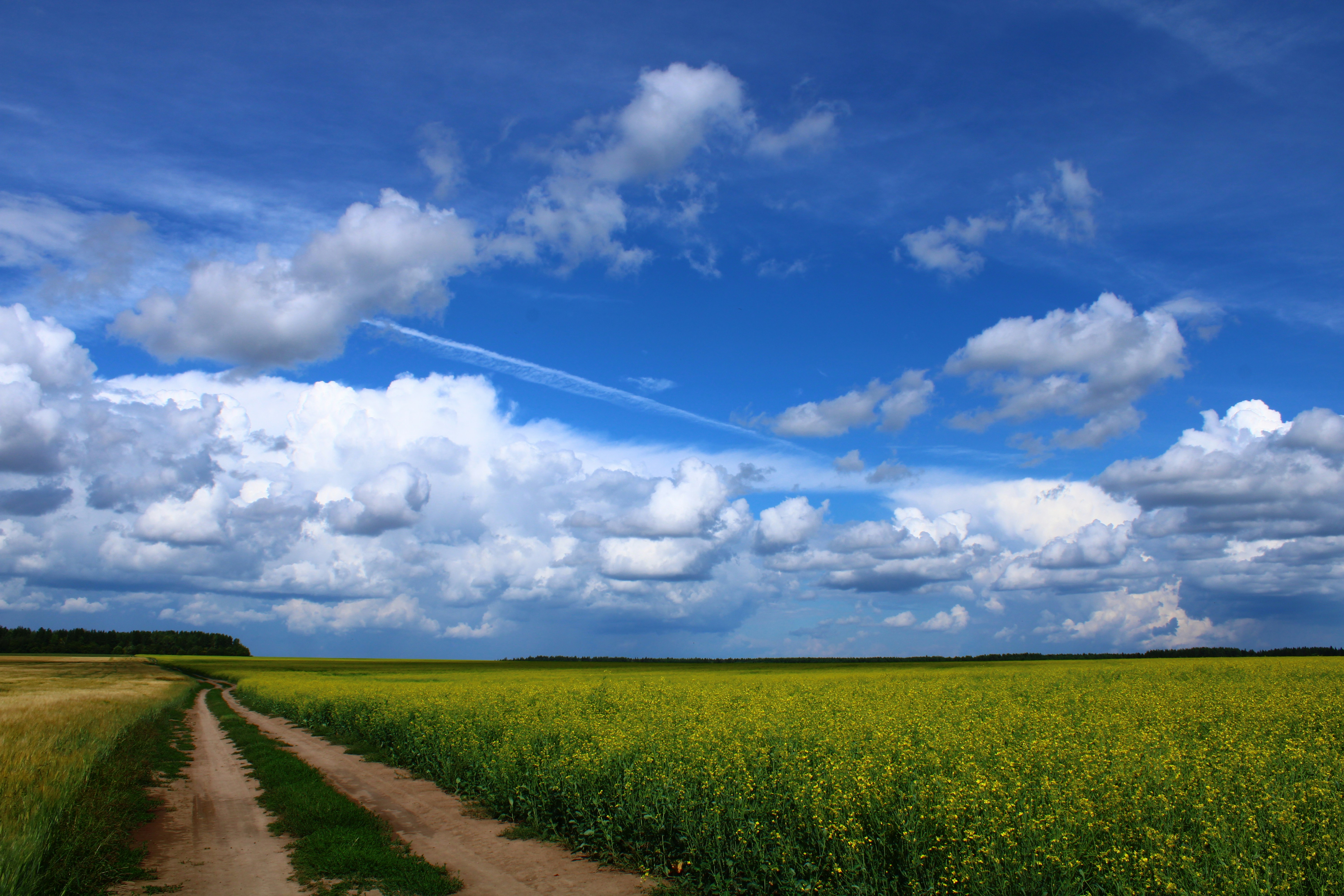 Photo by Bulat Akhtiamov with Canon EOS 2000D