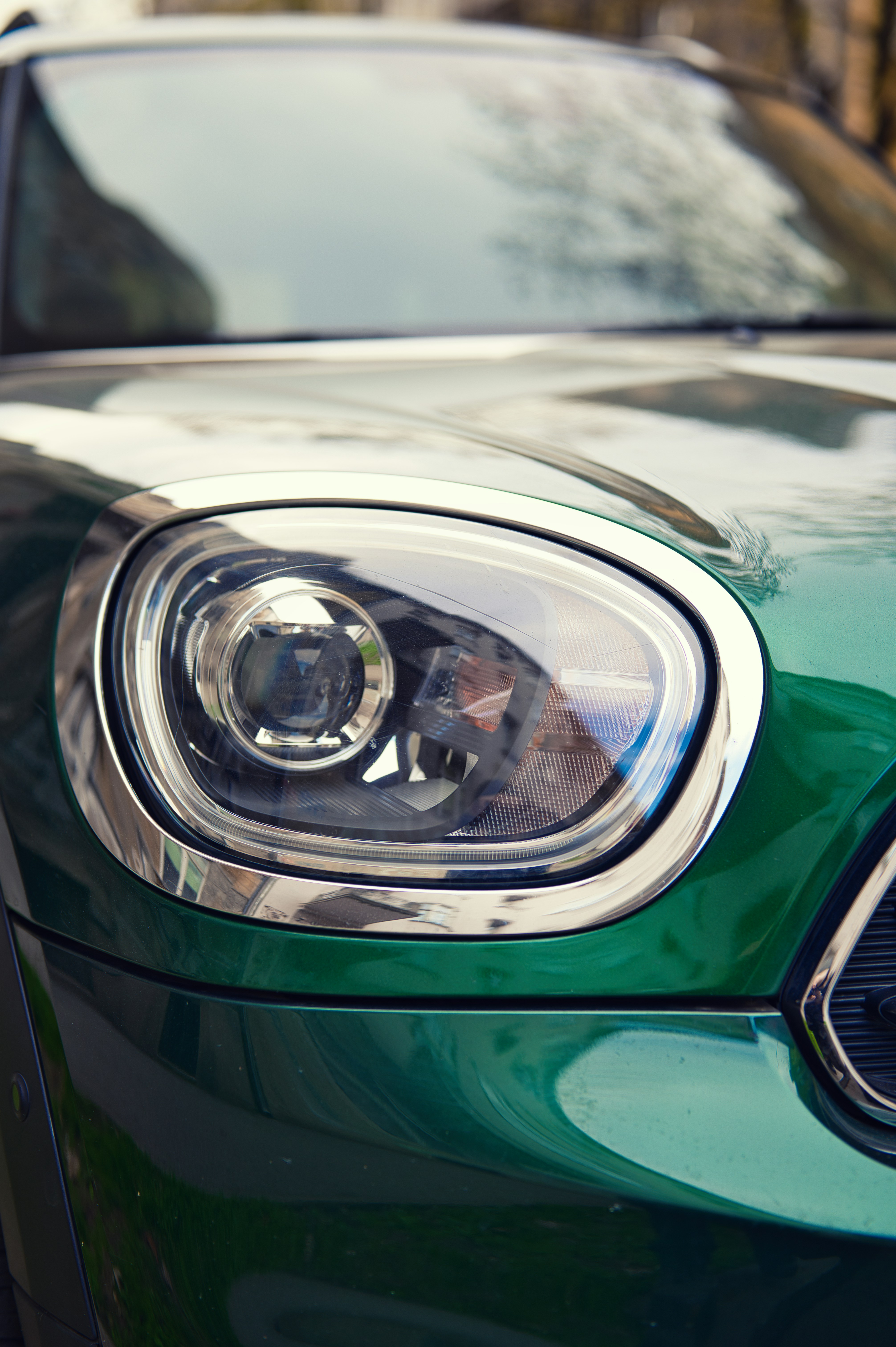 Photo by Odalv with Nikon Z6 II