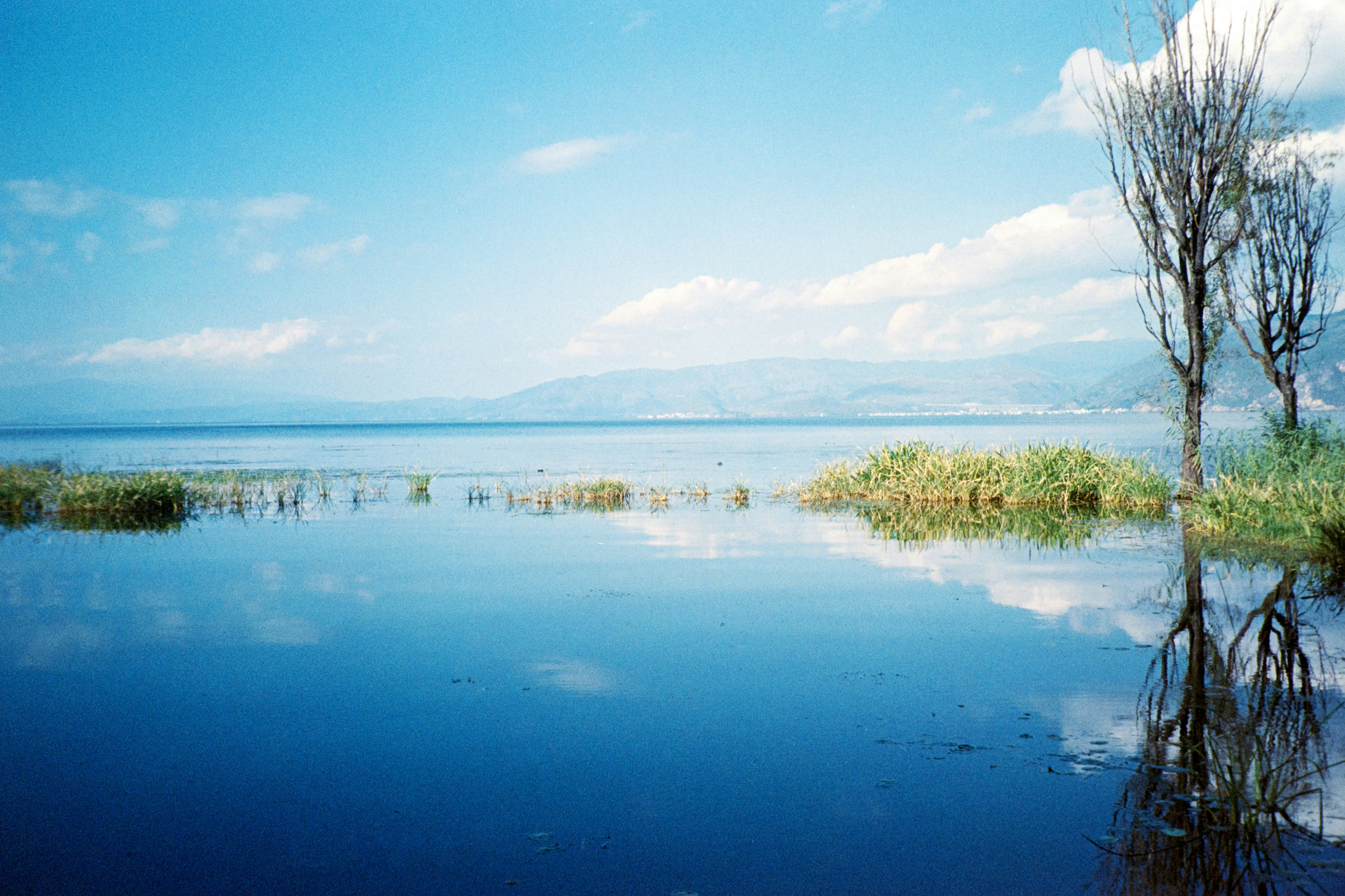 Photo by Kyle Yen with Nikon Z 7II