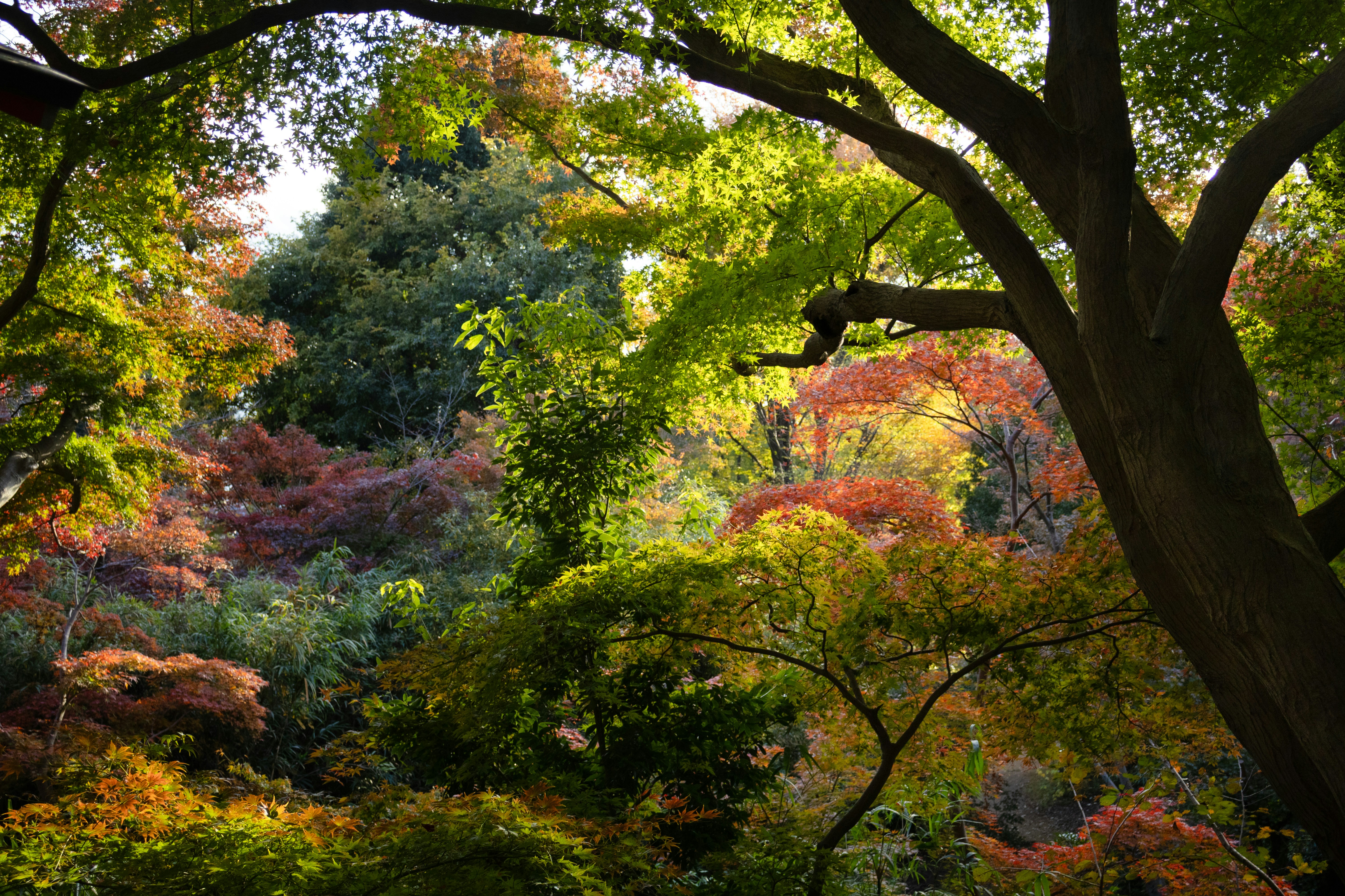 Photo by Kate Kasiutich with Canon EOS R50