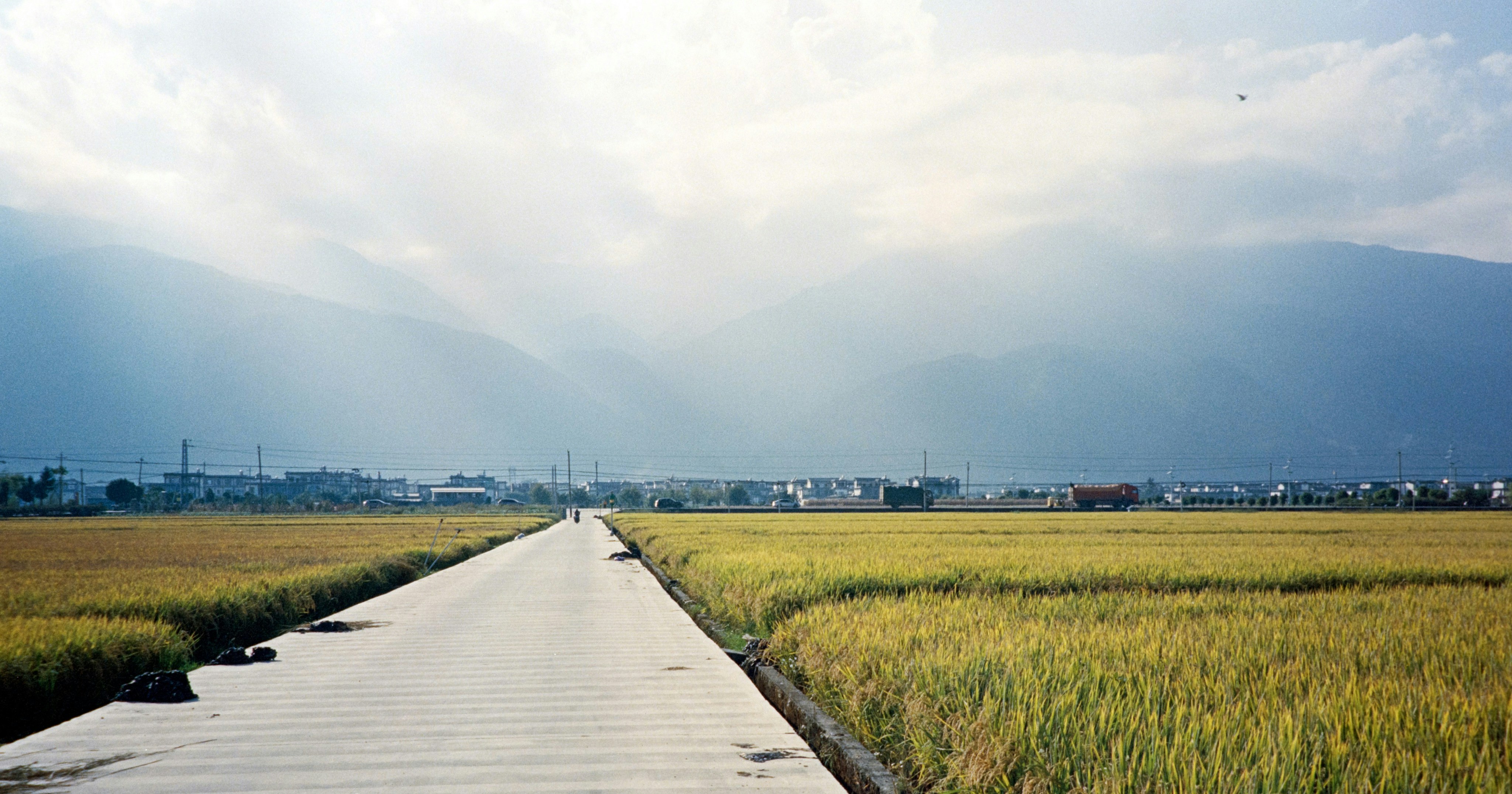 Convergence Path: A Quiet Corridor Through Golden Fields Toward a Misty Mountain Horizon