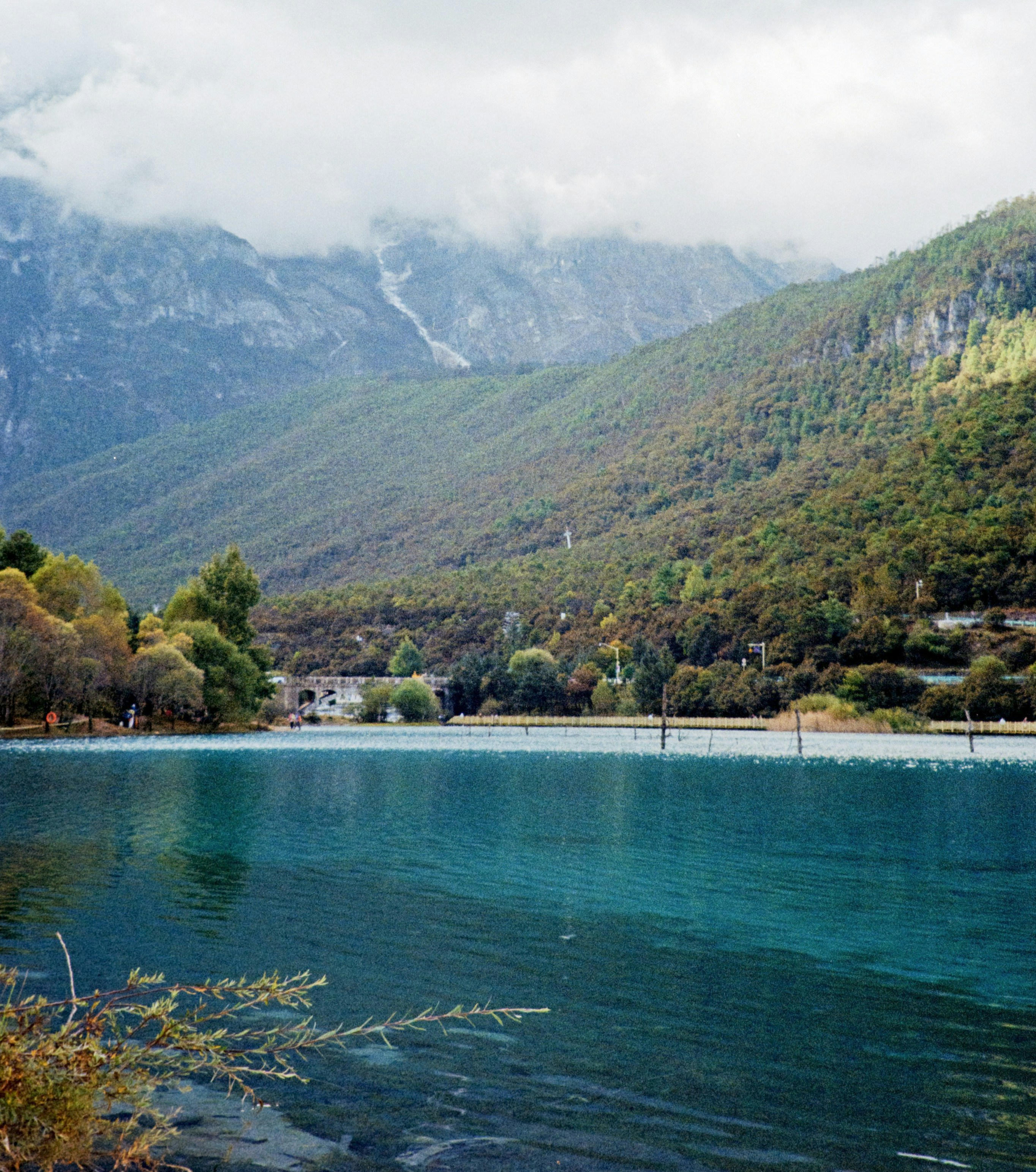 Serene Alpine Mirror: A Lake Lapped by Verdant Slopes