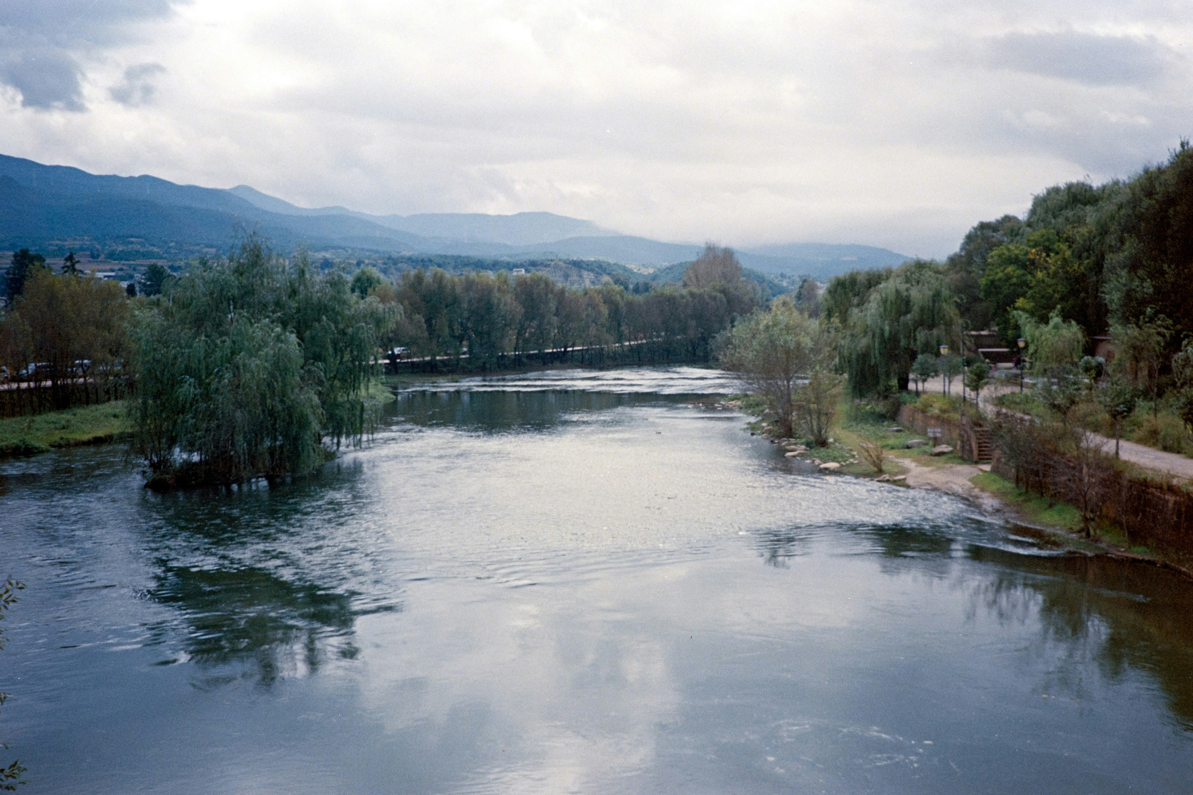 Whisper of the River: A Cloudy Bend Framed by Willows