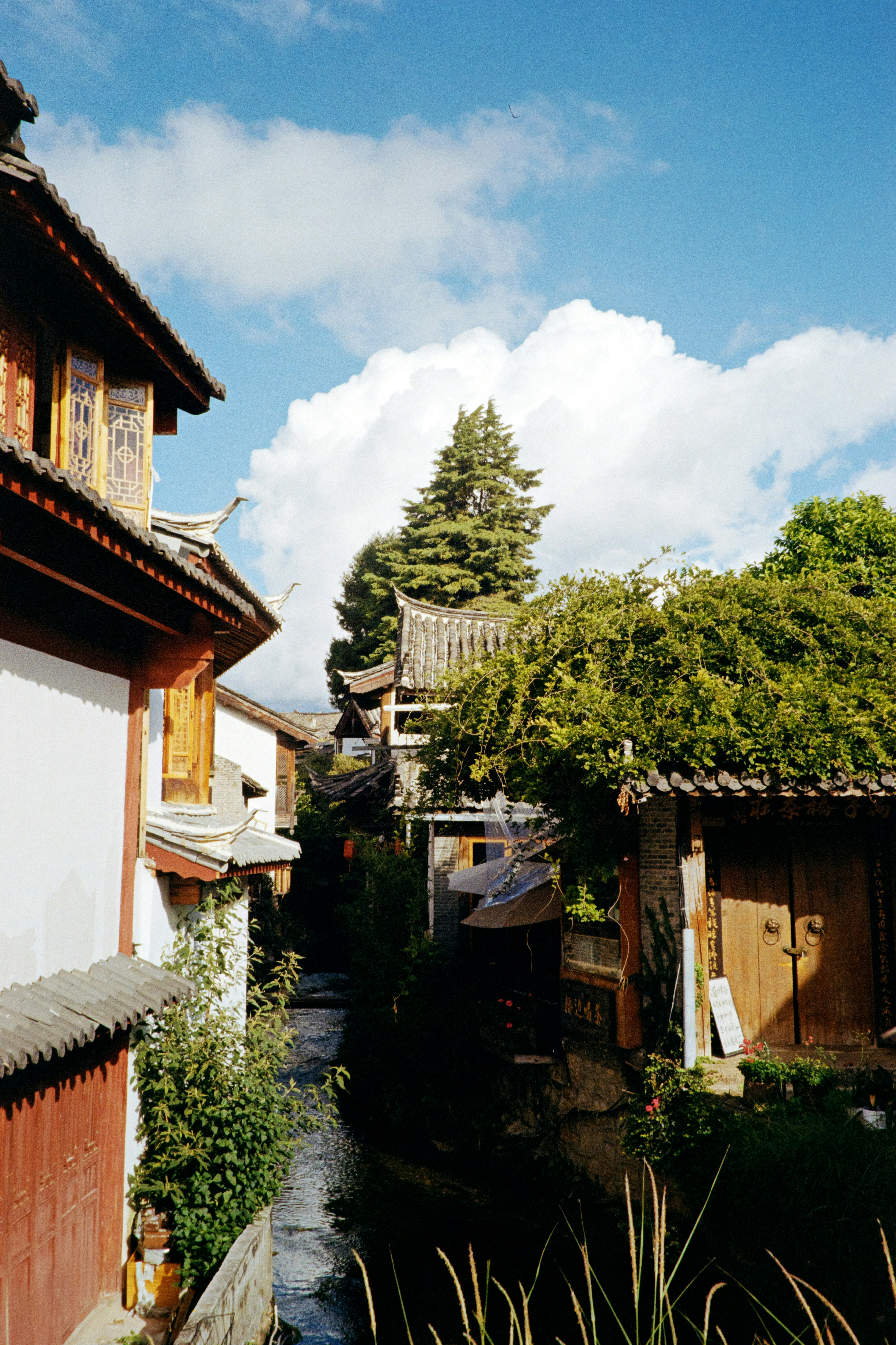 Sunlit Canal Passage Between Traditional Rooftops and Lush Foliage