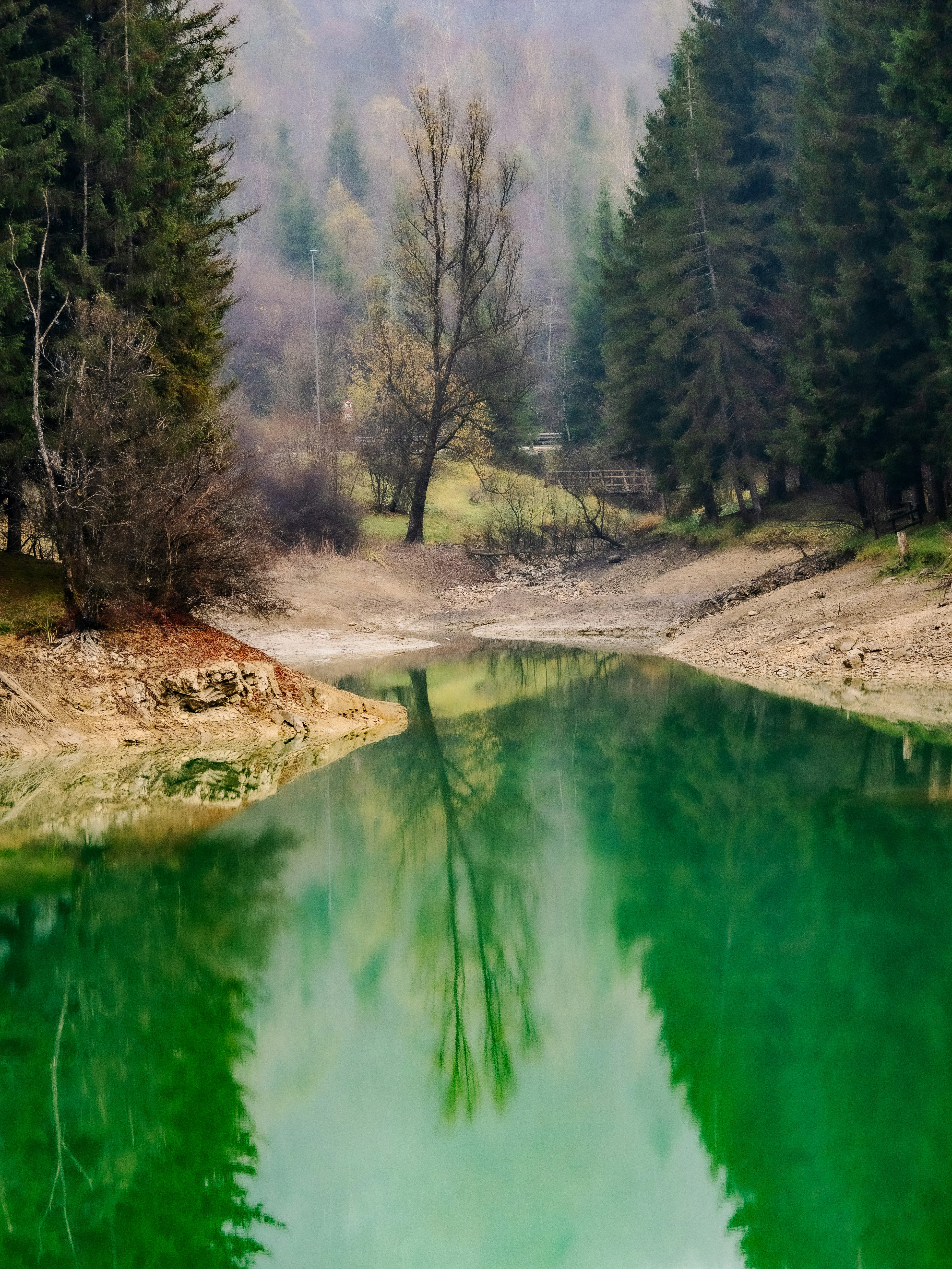 Photo by Diego Romeo with OM System OM-1