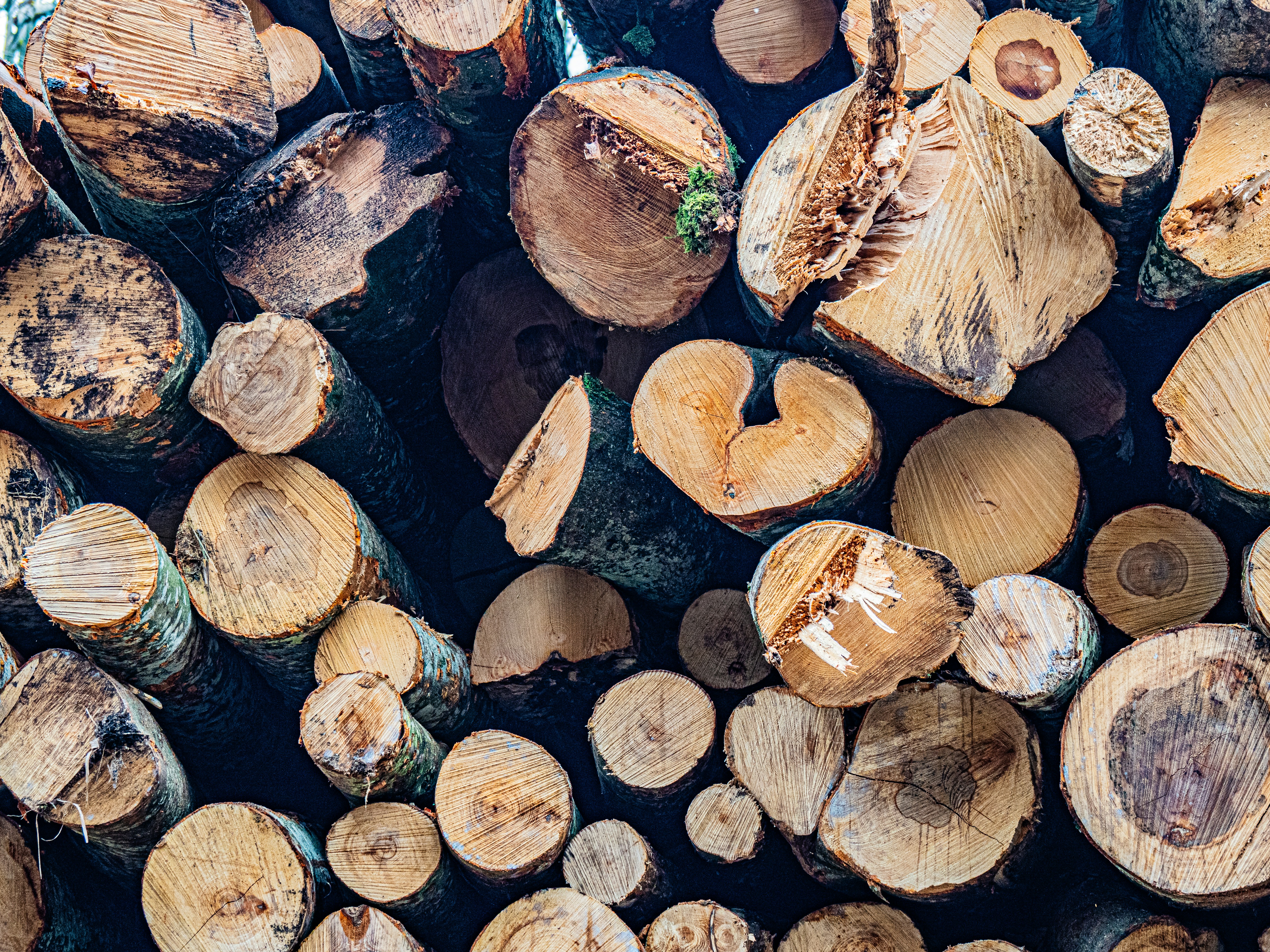 Photo by Diego Romeo with OM System OM-1