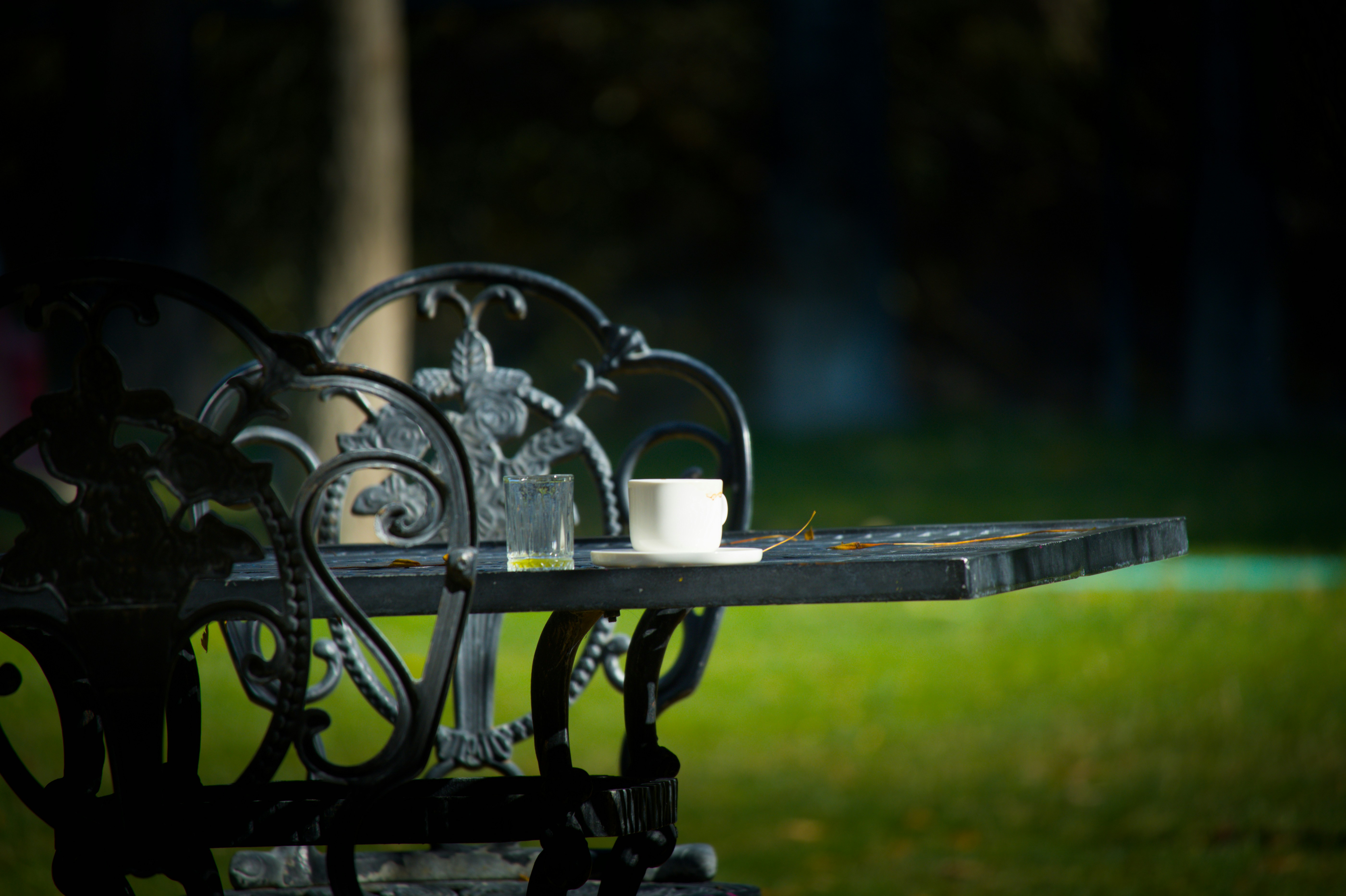 Photo by Amin Zabardast with Nikon Z30